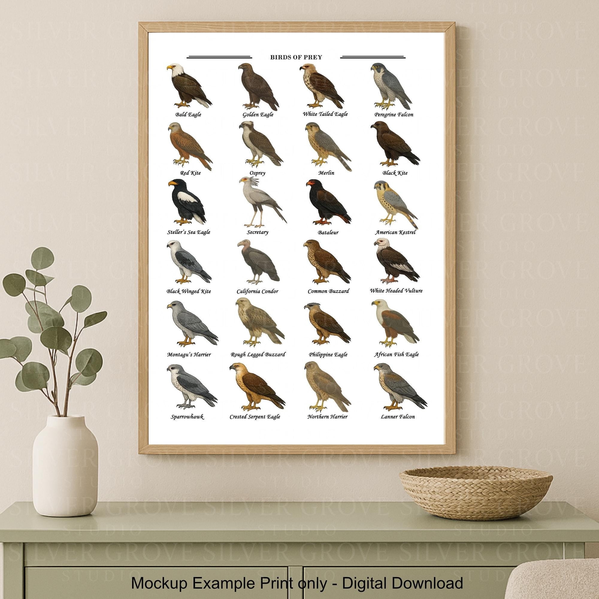 ValCoPo Birds of Prey Poster | Raptor Identification Chart | Printable ...