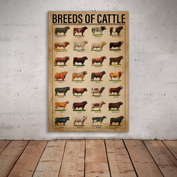 ValCoPo Breeds Of Cattle Wall Art Poster Anniversary Birthday Christmas ...