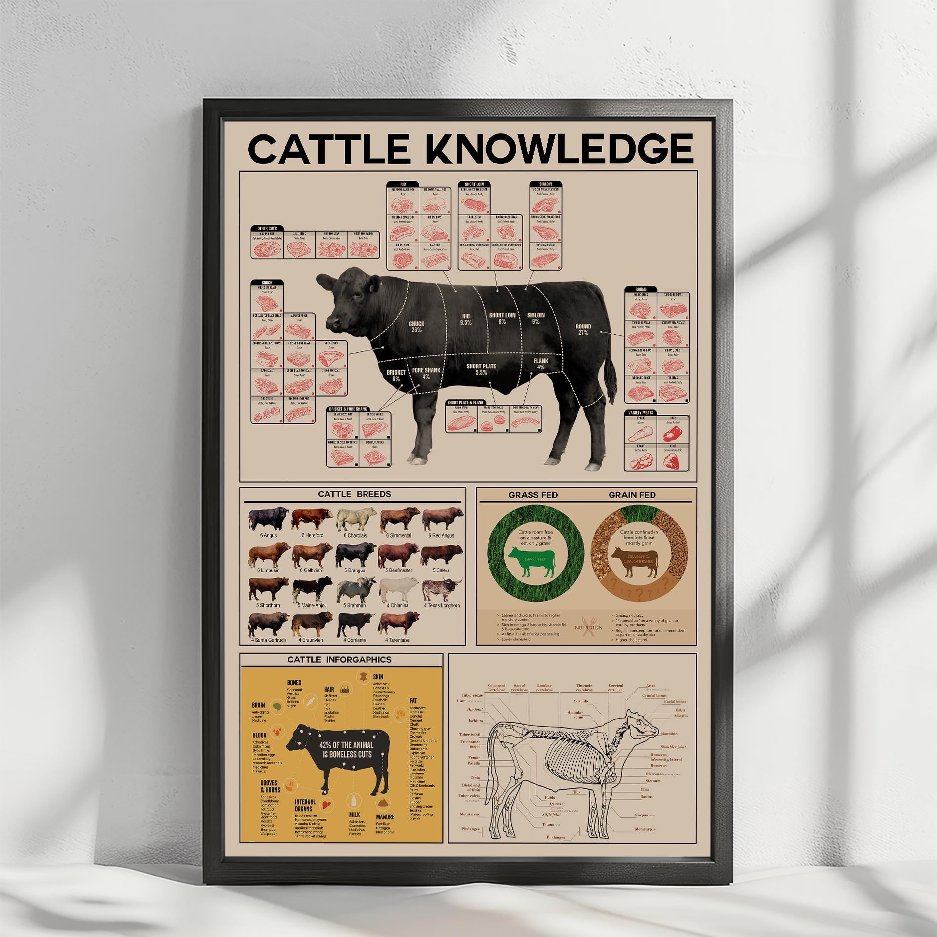 ValCoPo Cattle Knowledge, Beef Knowledge Poster, Beef Butcher Guide ...