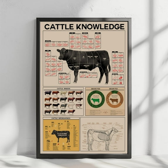 ValCoPo Cattle Knowledge, Beef Knowledge Poster, Beef Butcher Guide ...
