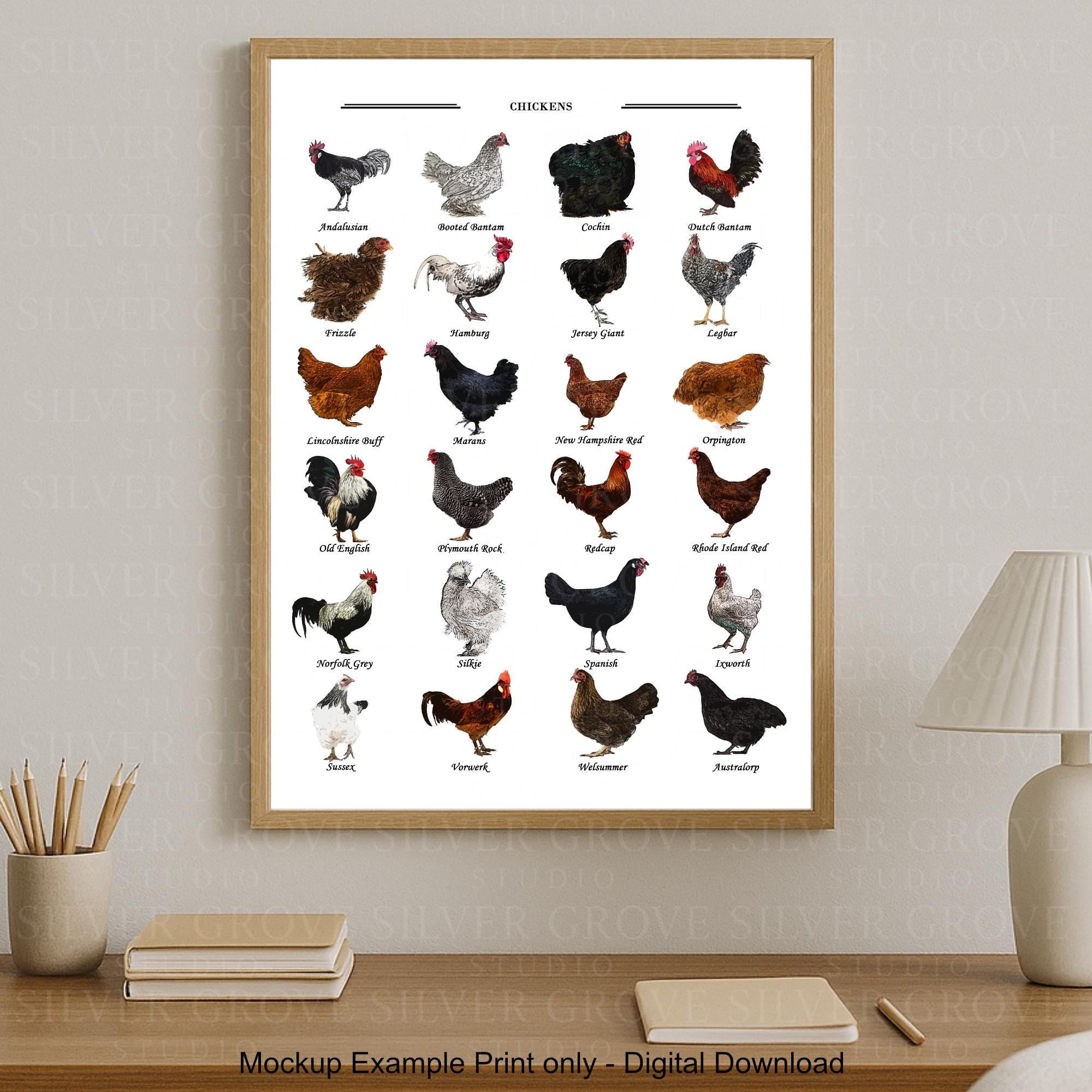 ValCoPo Chicken Breeds Poster | Poultry Identification Chart | Backyard ...