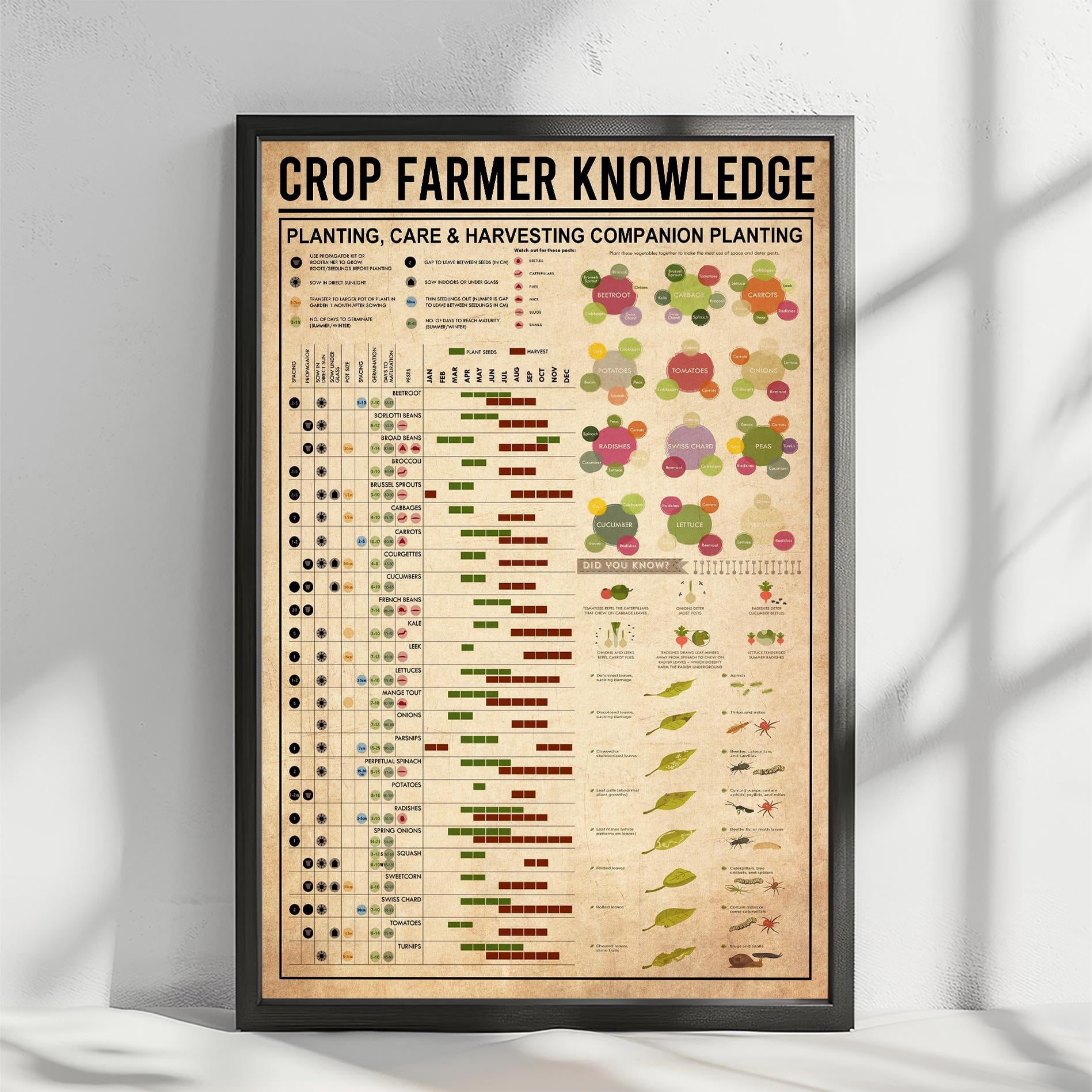 ValCoPo Crop Farmer Knowledge Poster, unframed Print, Farmer Art, Crop ...