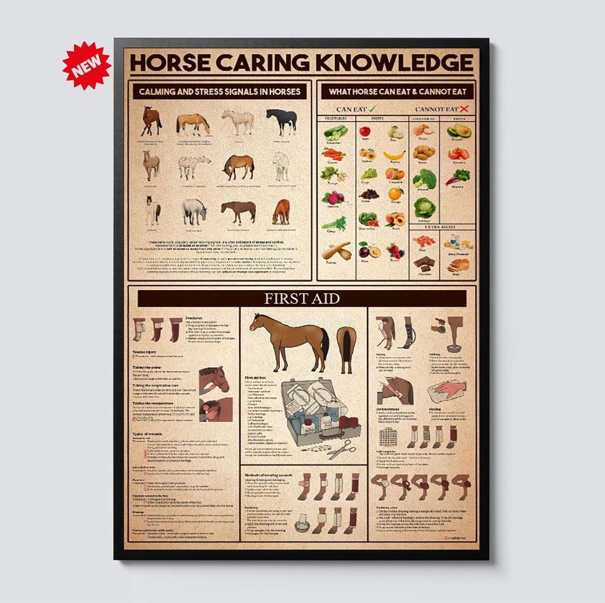 ValCoPo Horse Caring Knowledge Poster, Educational Horse Care Chart ...
