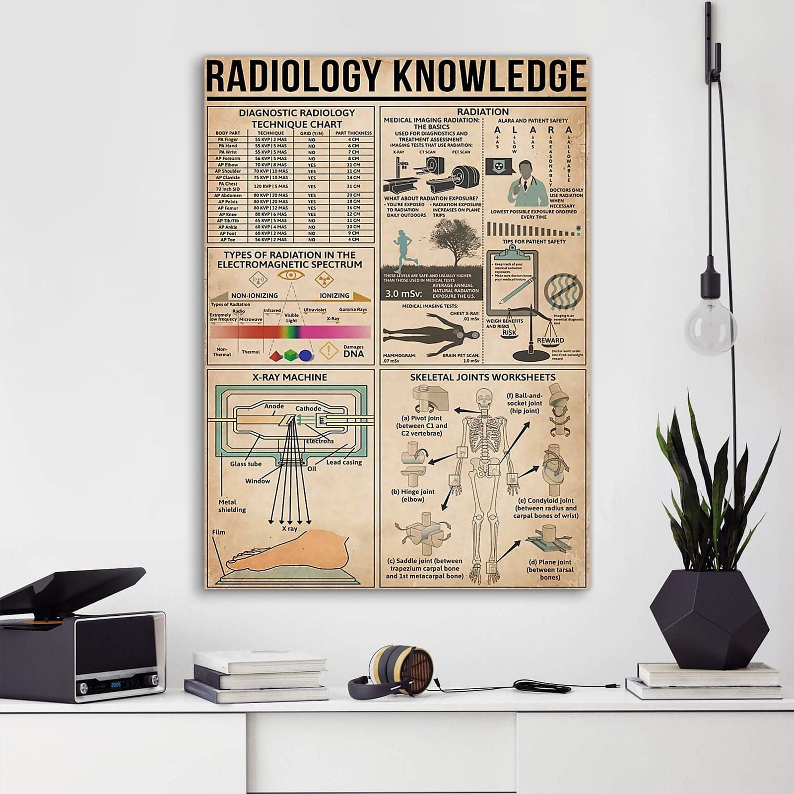 ValCoPo Radiology Knowledge Poster, Knowledge Poster, Wall Art Home ...