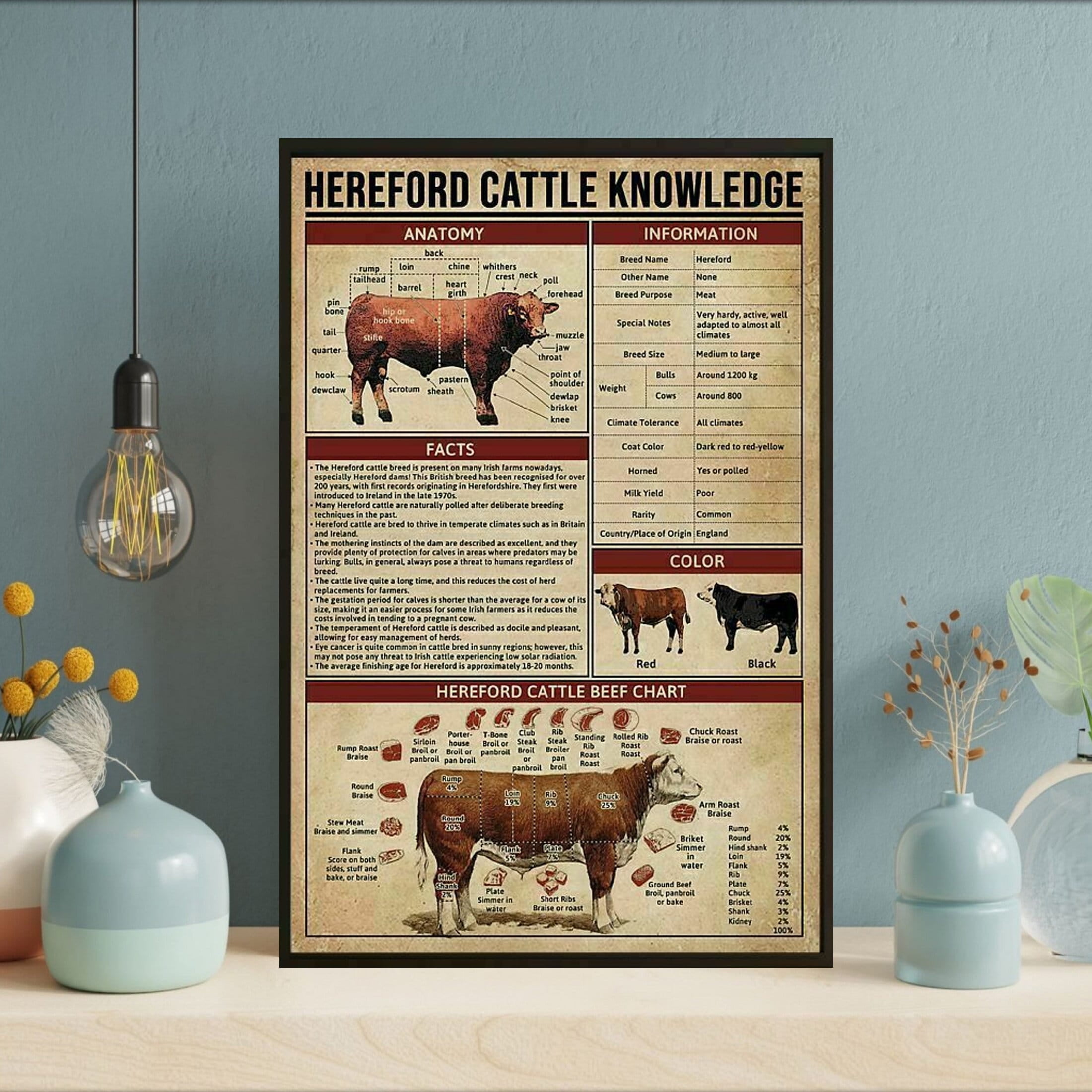 ValCoPo Unframed Hereford Cattle Knowledge Poster, Vintage Hereford ...