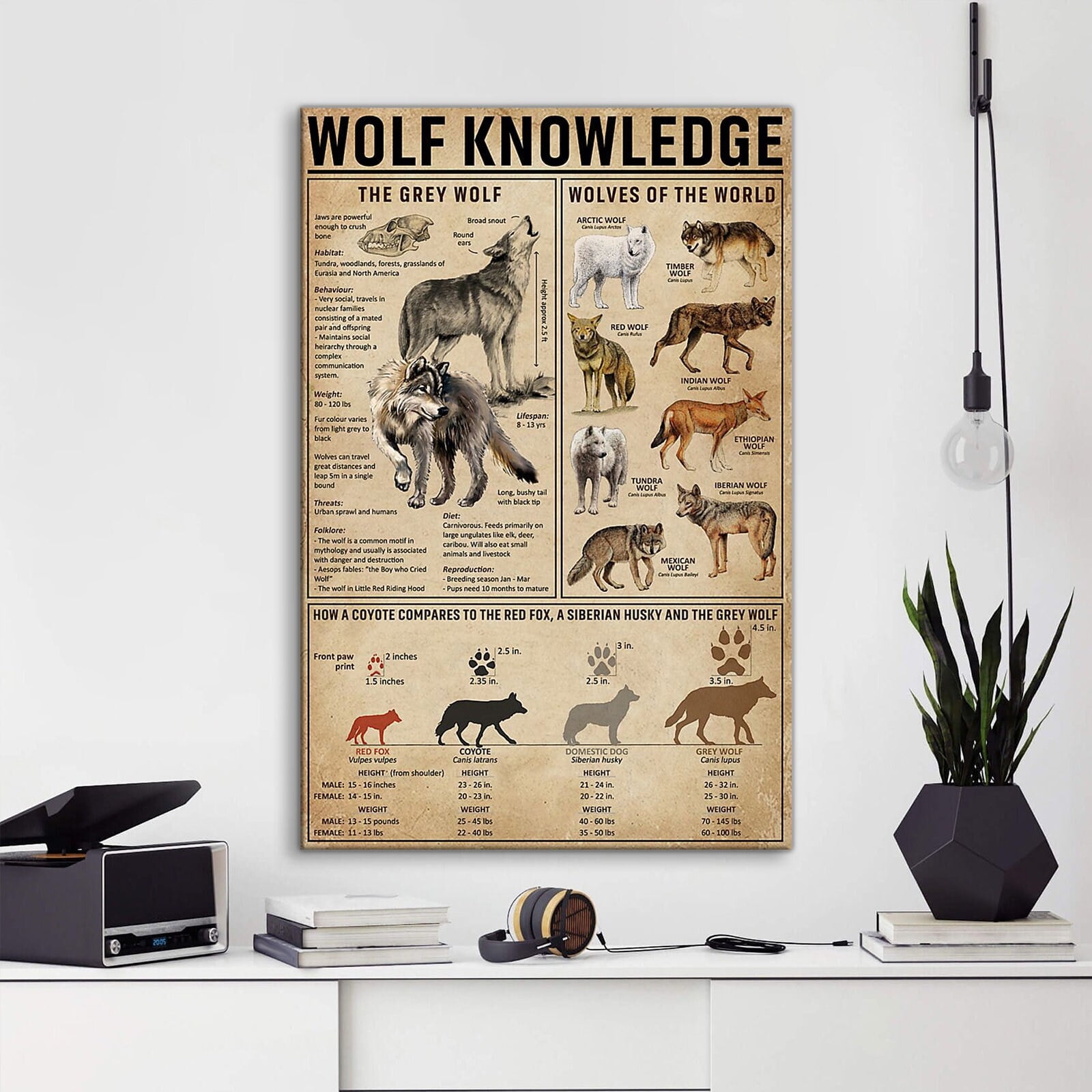 ValCoPo Wolf Knowledge Vertical Poster Wall Decoration, Wolf Poster ...