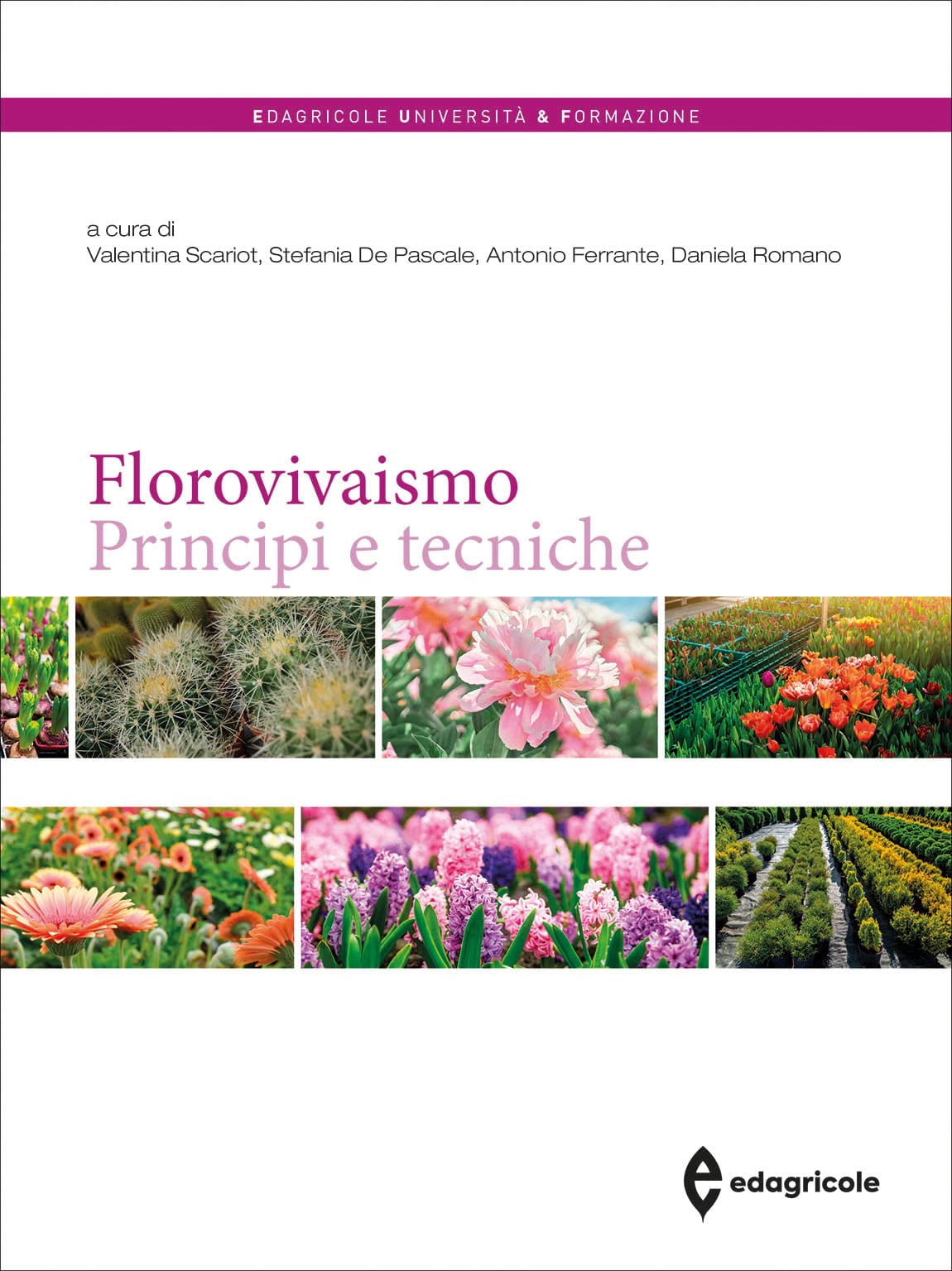 Valentina Scariot,Daniela Romano,Antonio Ferrante,Stefania ...