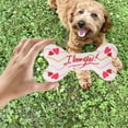 Valentine's Day Dog Squeaky Bone Toys Plush Lovely Funny Interactive ...