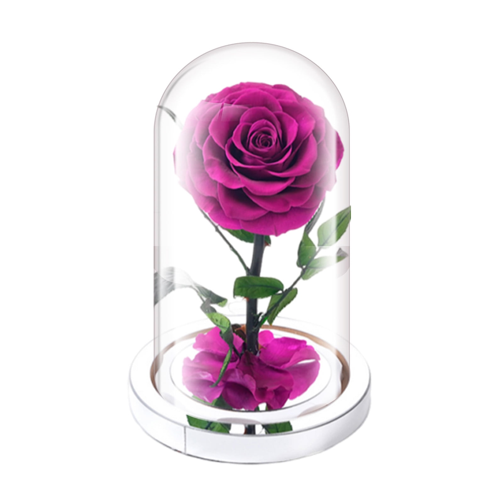 Valentine's Day Flower Rose Gift For Women Glass Dome Eternal Rose ...