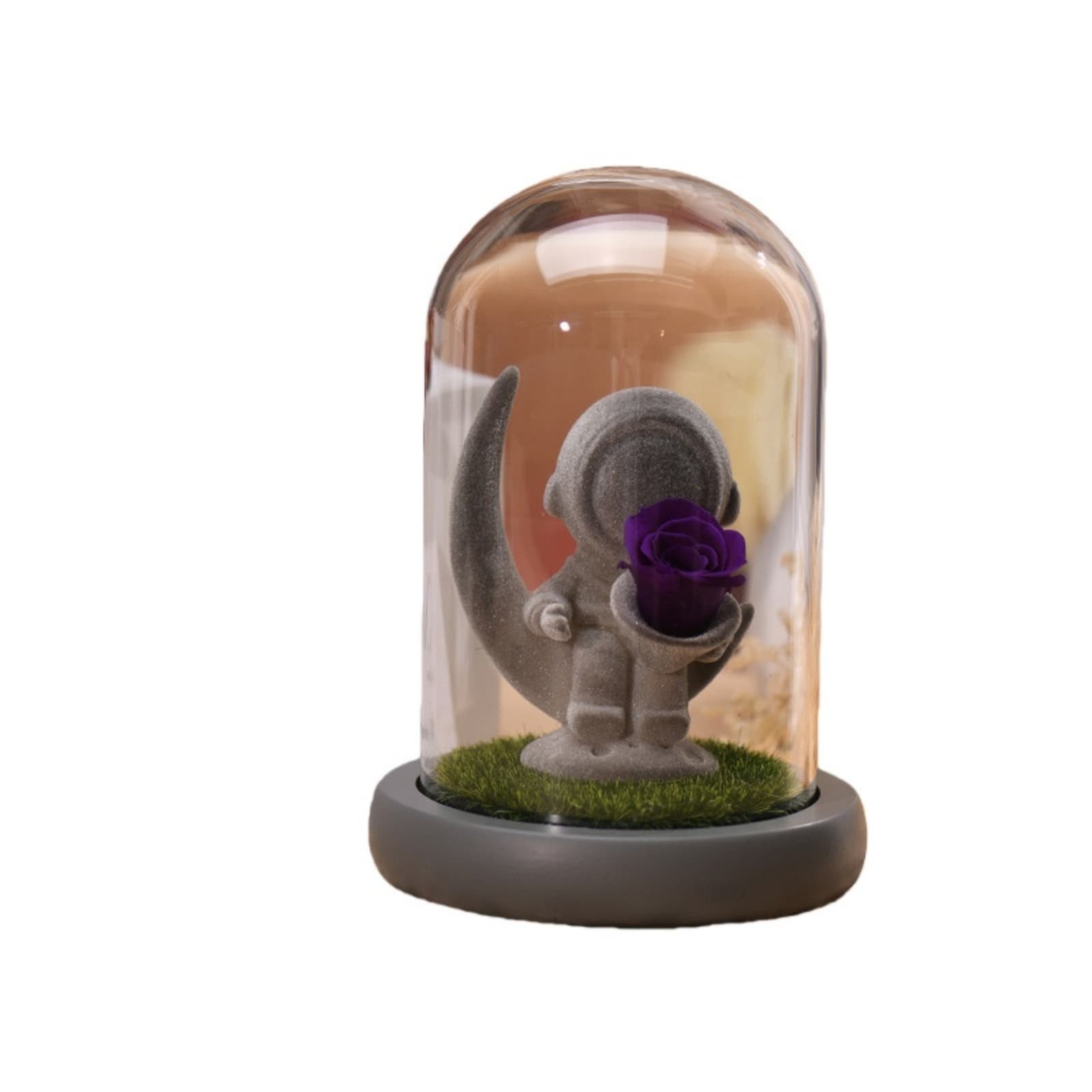 Valentine's Day Gift, Confession Rose Astronaut , Eternal Life Flower ...
