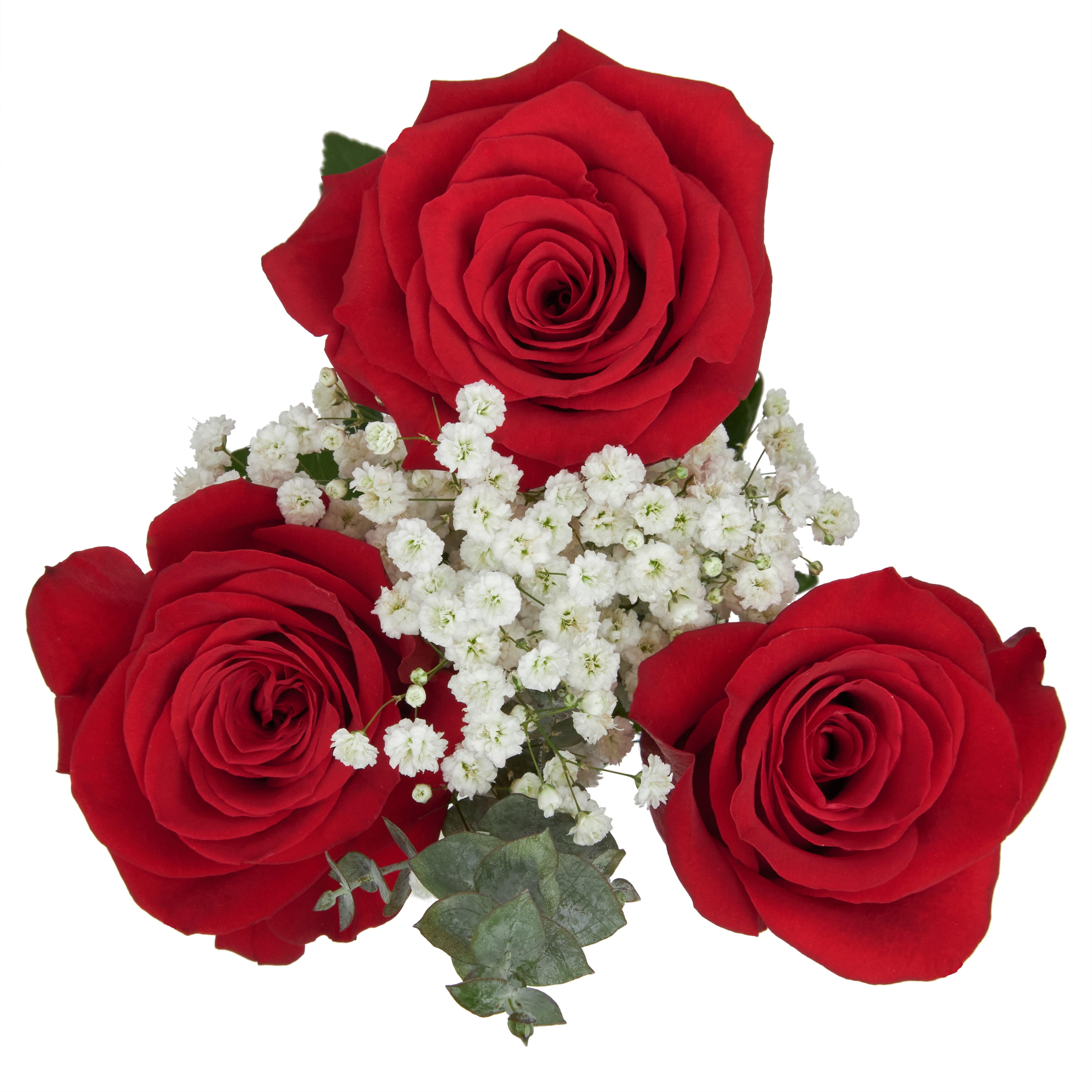 Valentine's Day Mini Rose Plus Bouquet, Fresh-Cut Flowers, 6 Stems ...