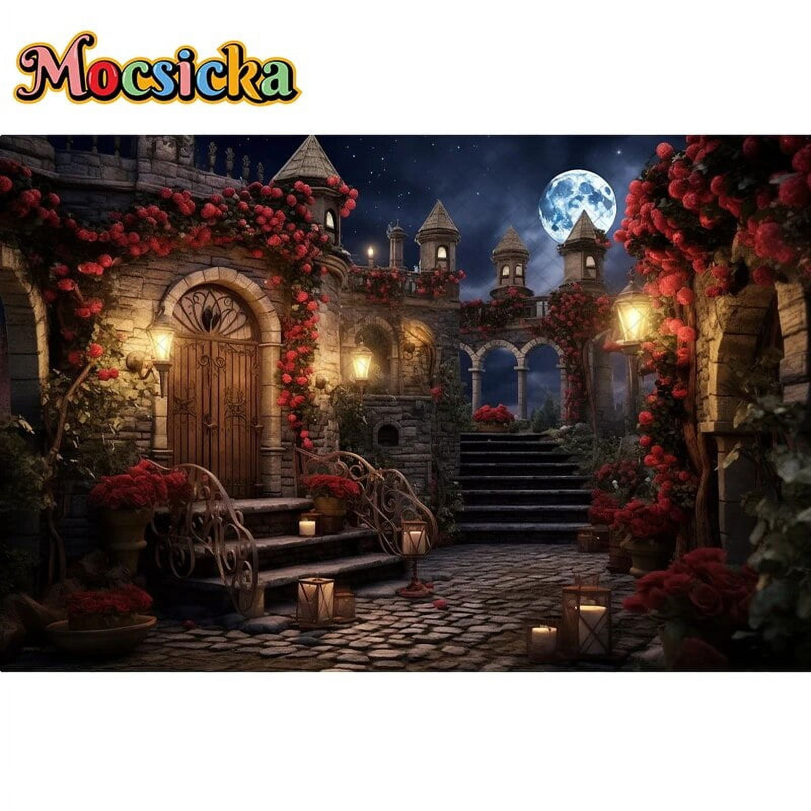 Valentine's Day Night Vintage Castle Photo Backdrop February 14 Red ...