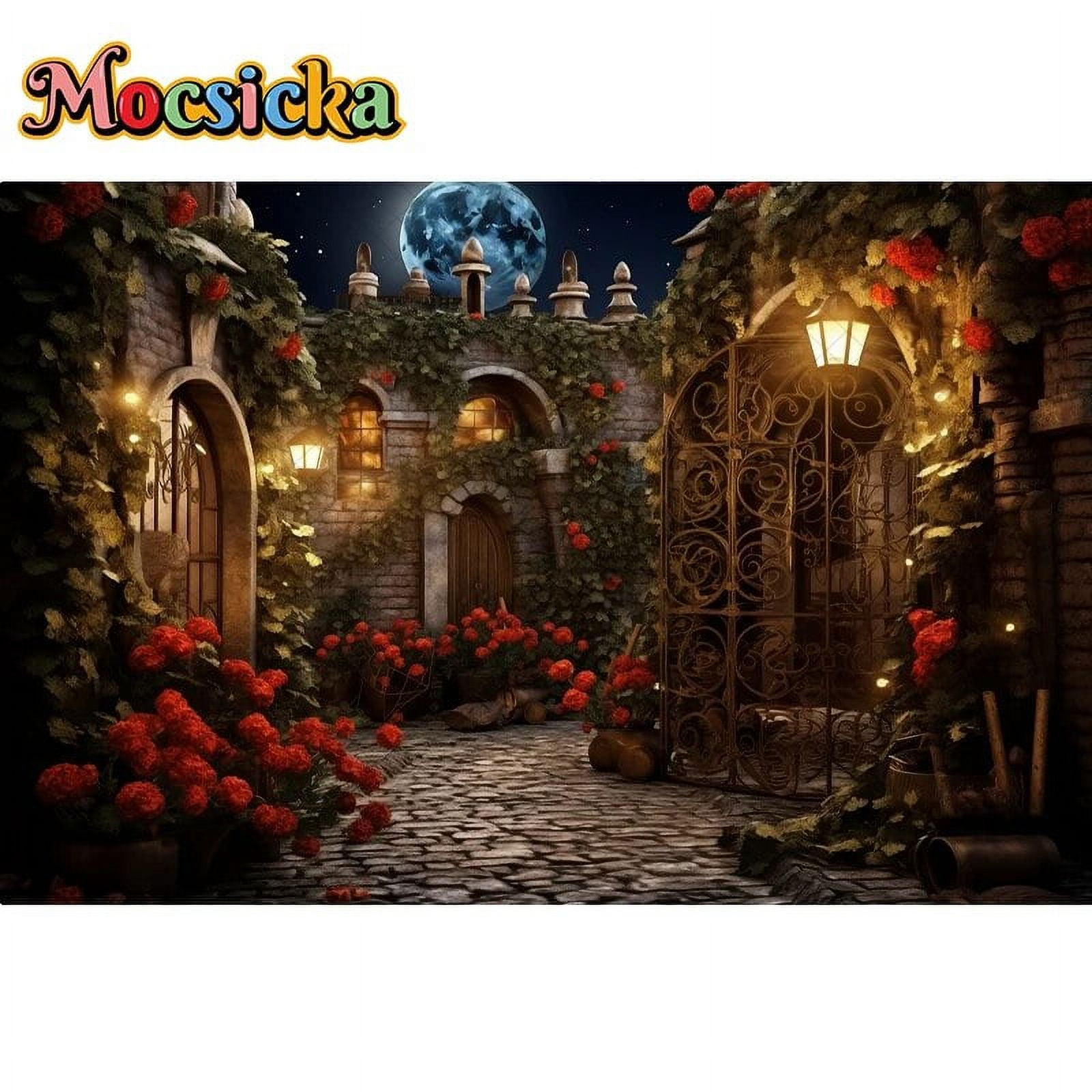 Valentine's Day Night Vintage Castle Photo Backdrop February 14 Red ...