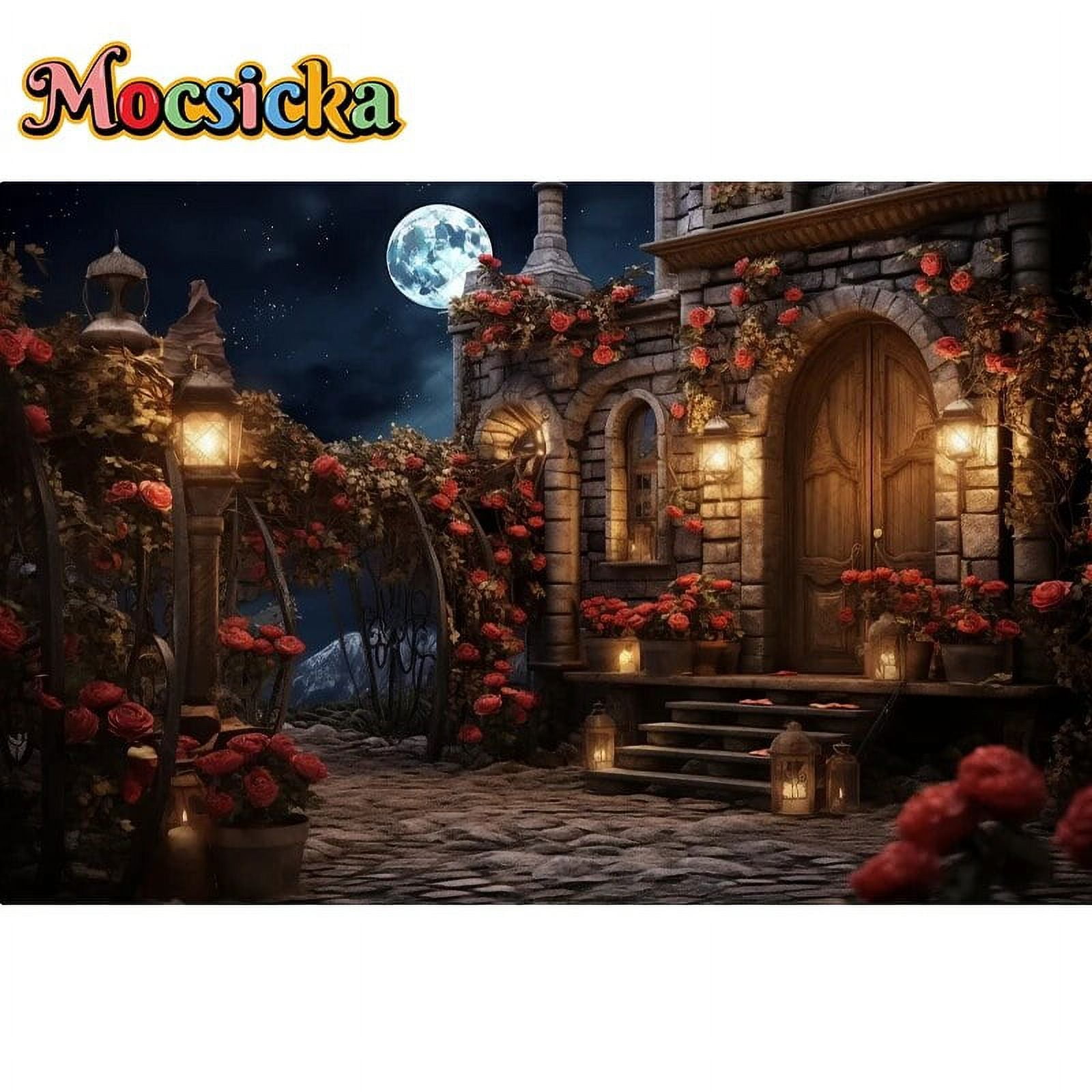 Valentine's Day Night Vintage Castle Photo Backdrop February 14 Red ...