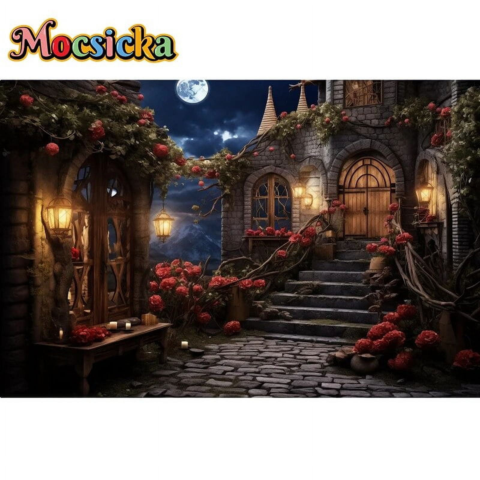 Valentine's Day Night Vintage Castle Photo Backdrop February 14 Red ...