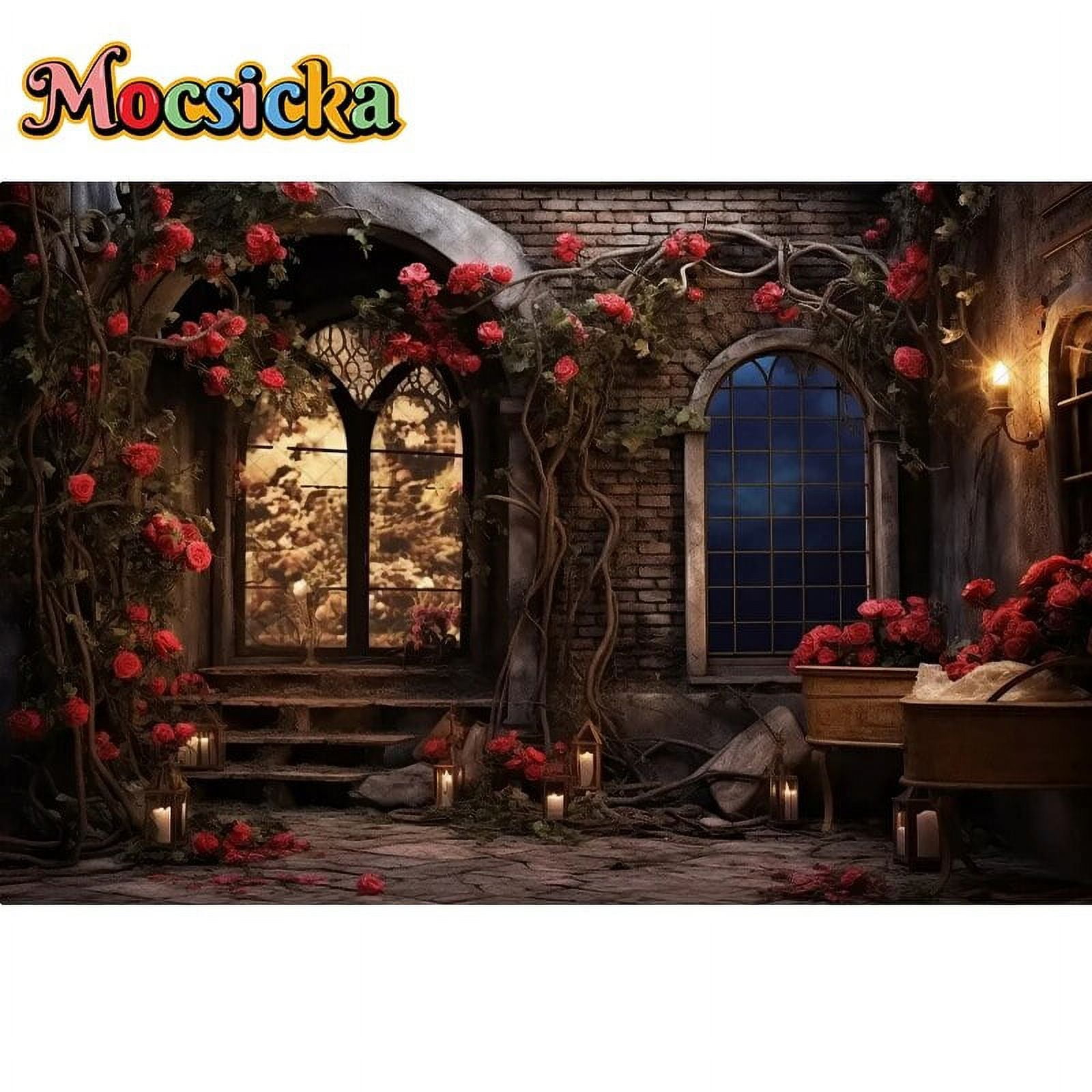 Valentine's Day Night Vintage Castle Photo Backdrop February 14 Red ...
