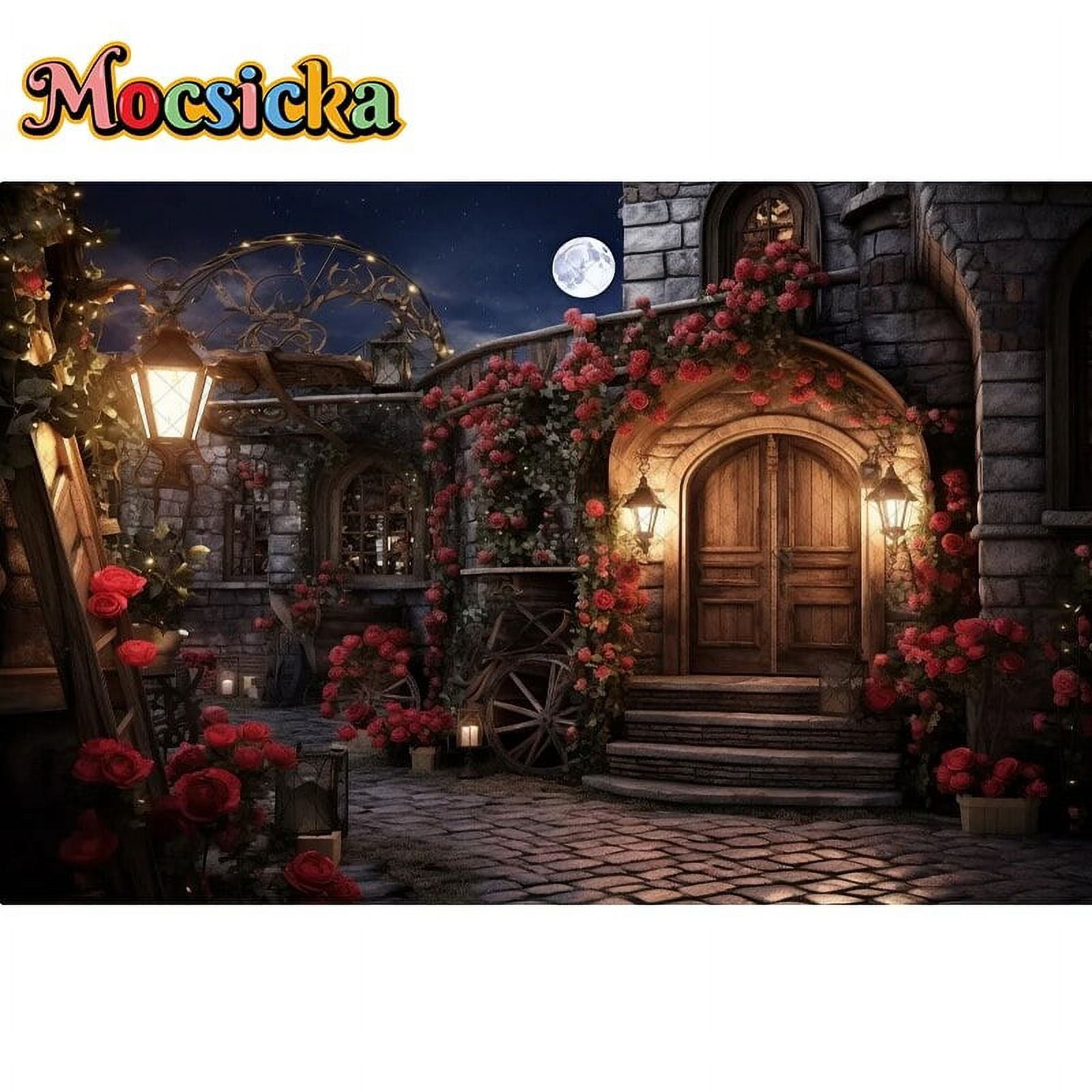 Valentine's Day Night Vintage Castle Photo Backdrop February 14 Red ...