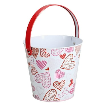 JAM Paper Metal Pail Bucket, Pink & White Zebra, 1/Pack, Small, 3 3/4 x ...