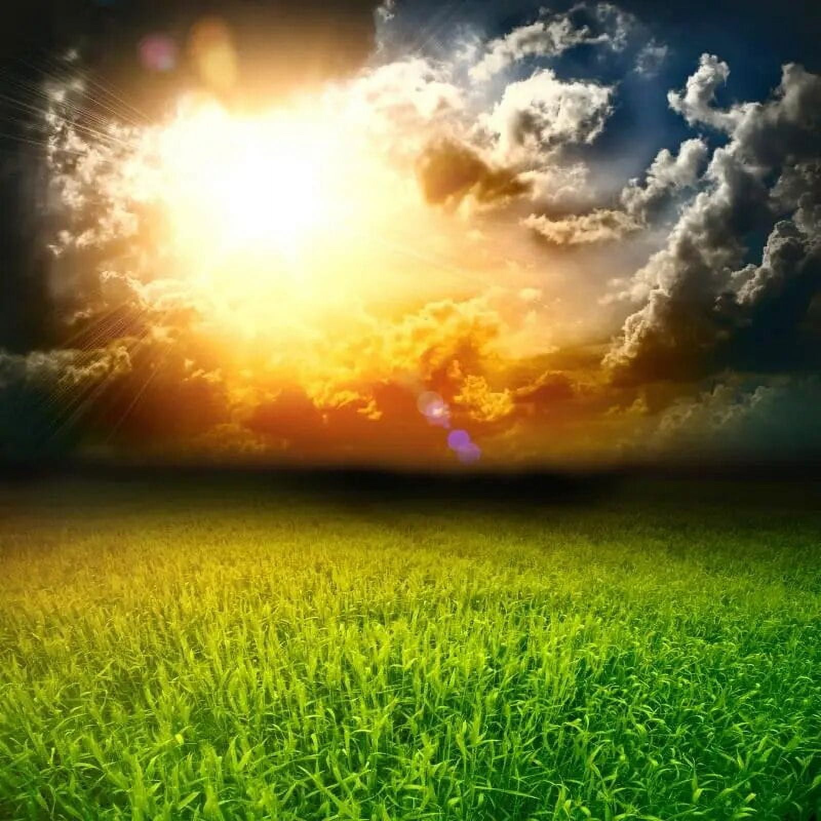 Valentine's Day Wedding Love Heart Forest Scene Photography Backdrop ...