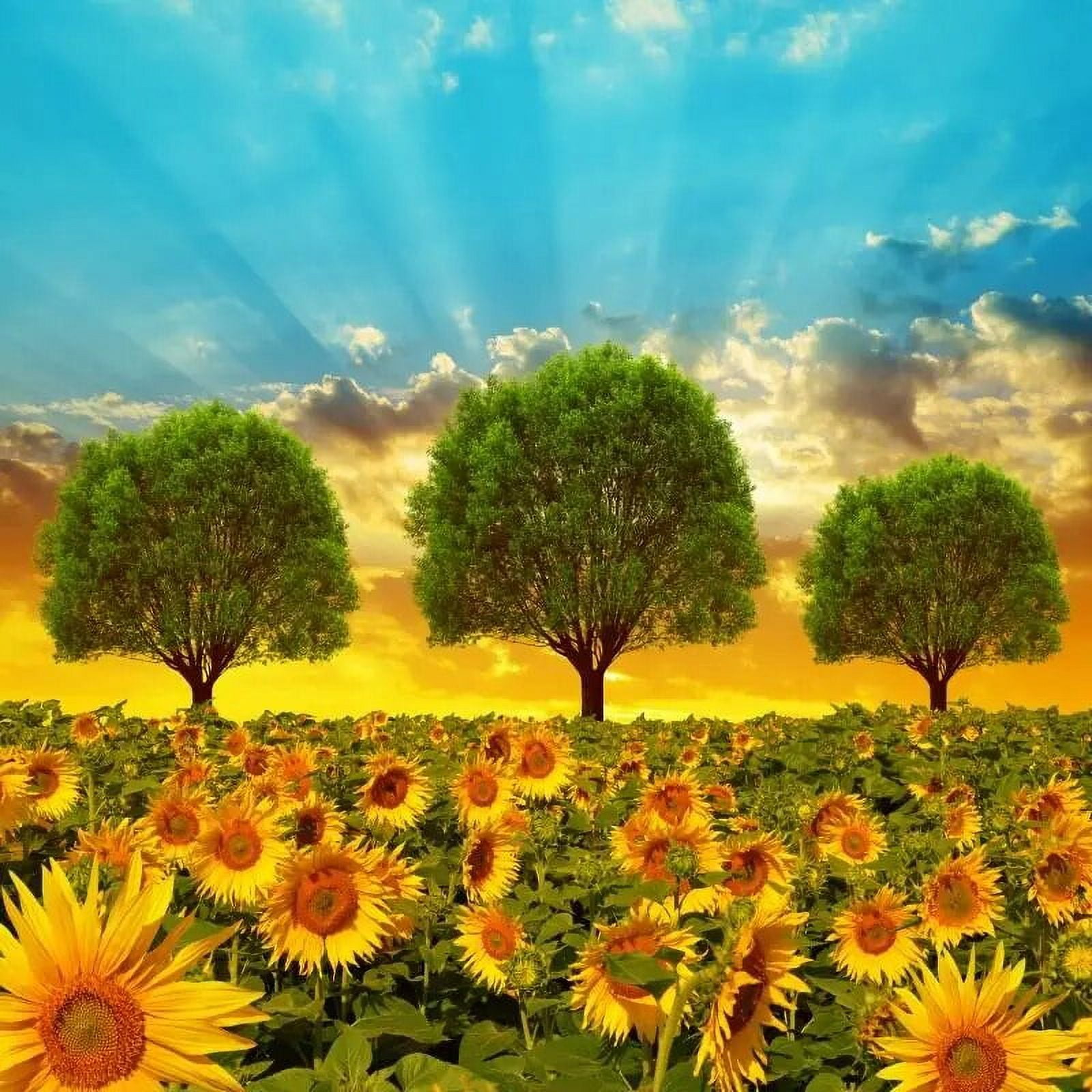 Valentine's Day Wedding Love Heart Forest Scene Photography Backdrop ...