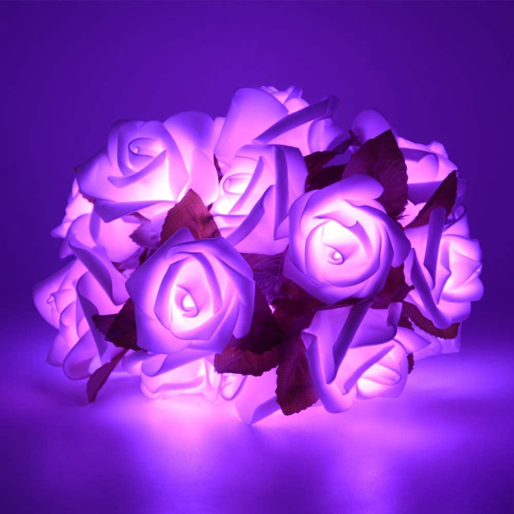 Valentine's Rose LED Lights, 20 LED Battery Operated String Romantic ...
