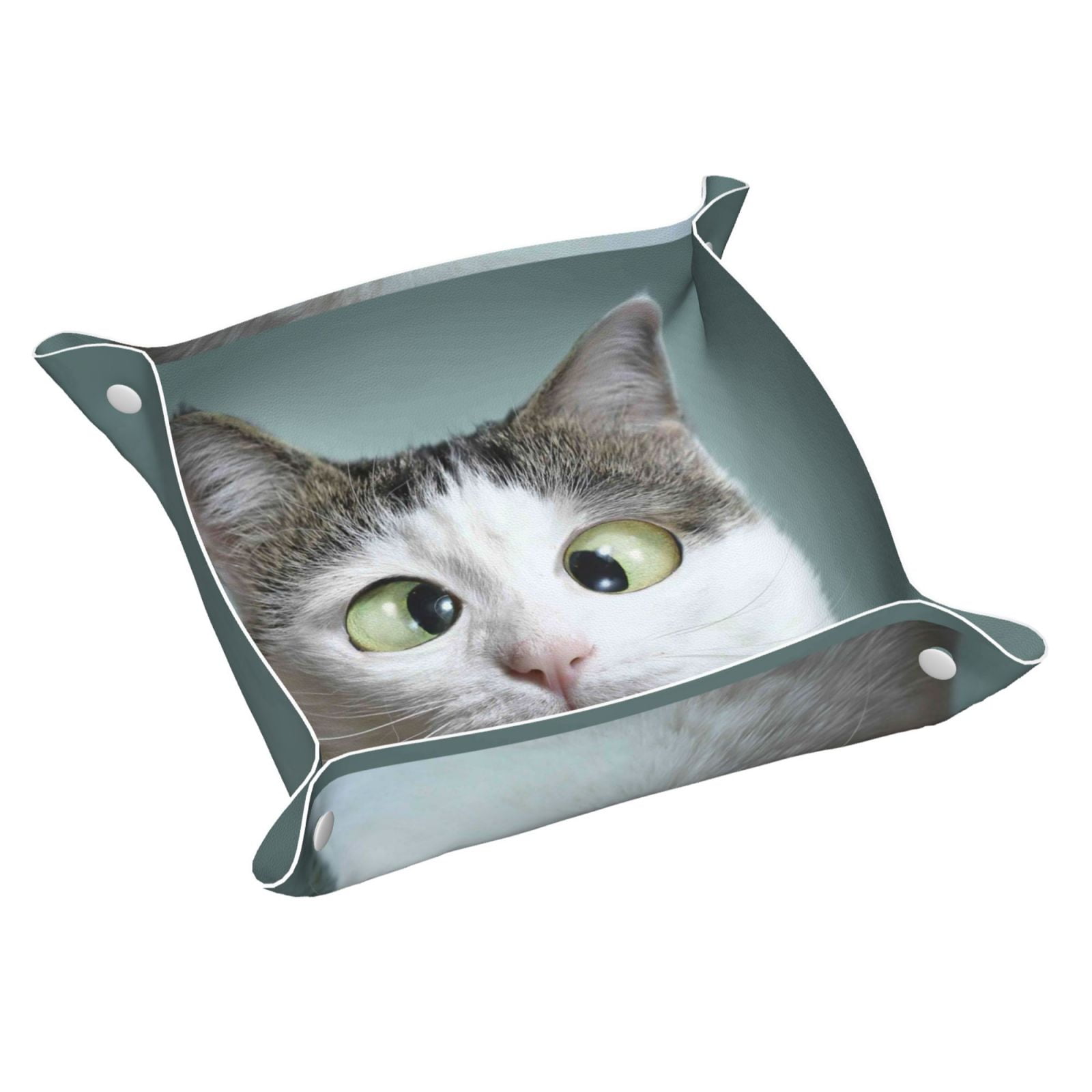 Valet Tray, Funny Cat Faux Leather Desk Tray Vanity Tray Night Stand ...