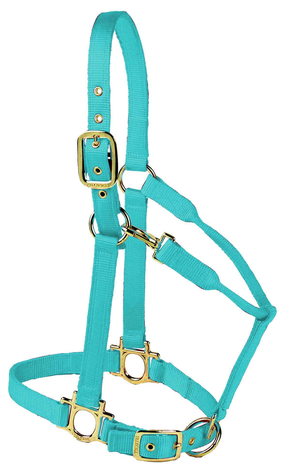 Valhoma Premium Adjustable Nylon Halter, Medium, Turquoise - Walmart.com