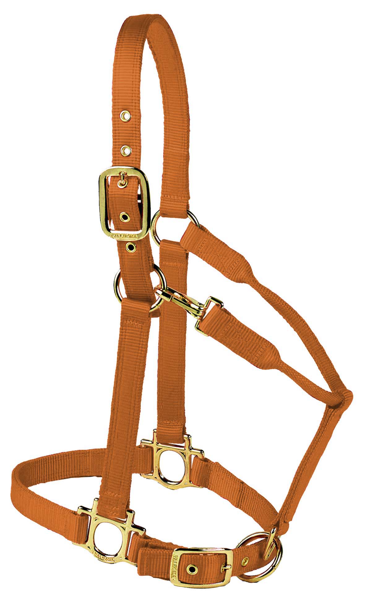 Valhoma Premium Adjustable Nylon Halter, Small, Copper - Walmart.com