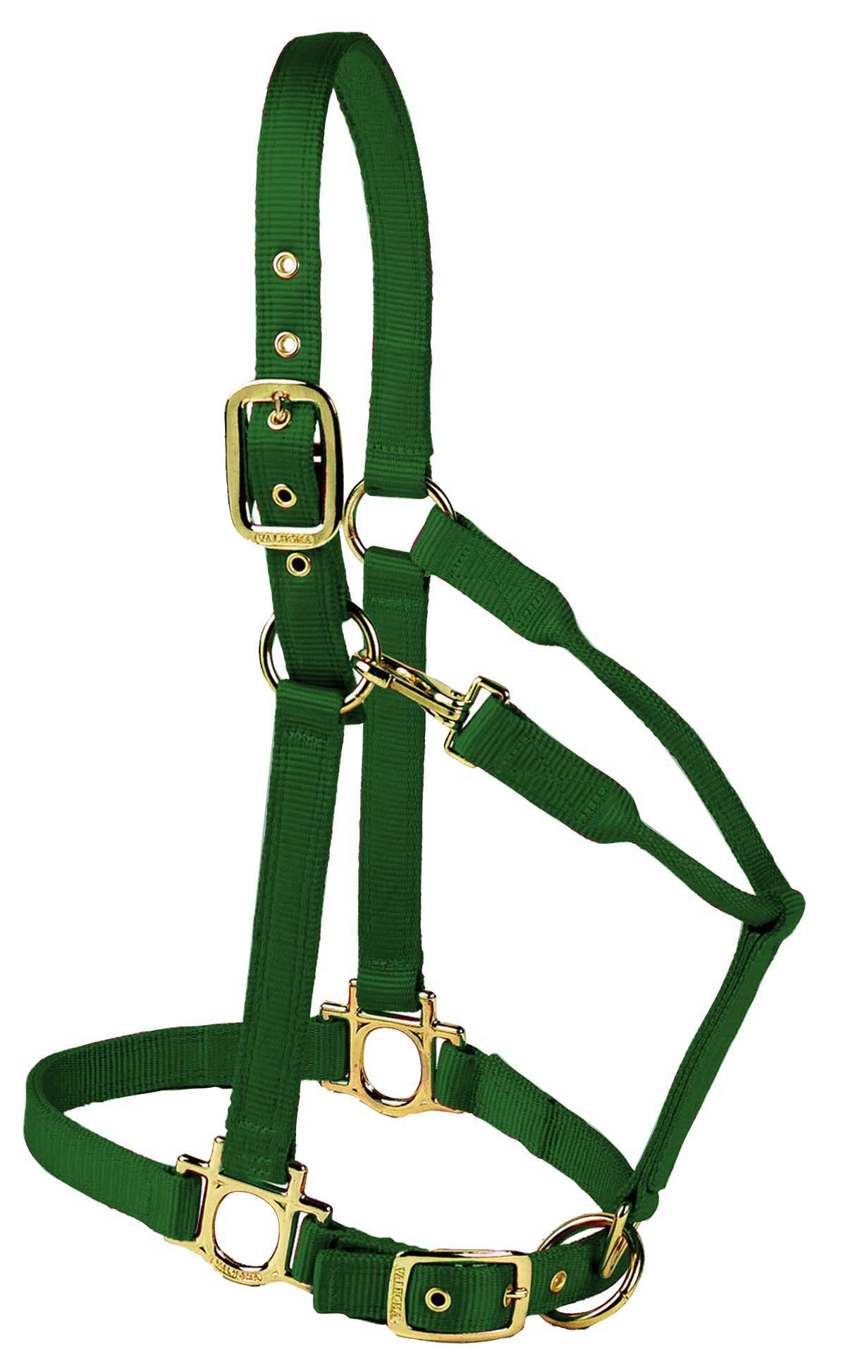 Valhoma Premium Adjustable Nylon Halter, Small, Hunter Green - Walmart.com