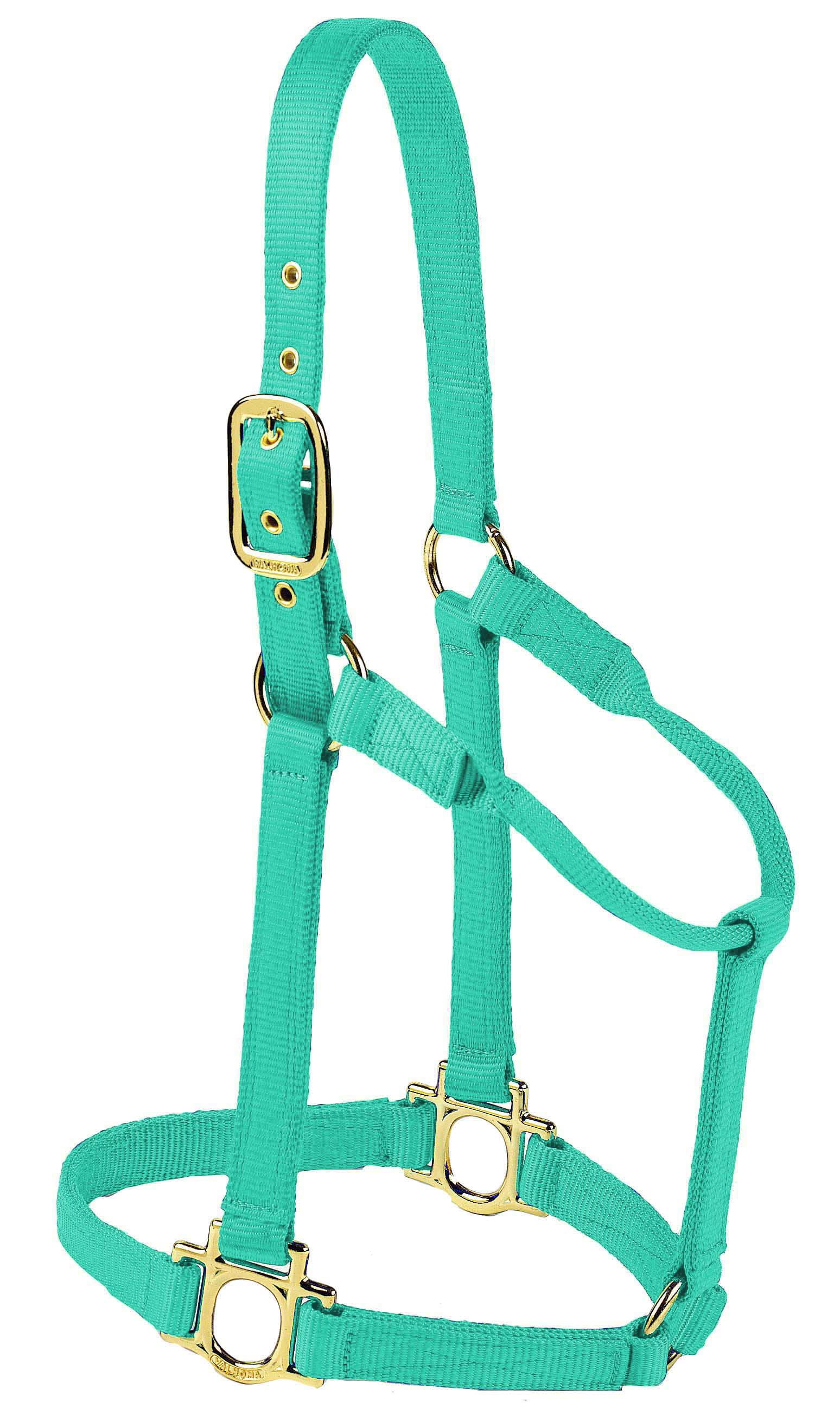Valhoma Premium Nylon Halter, Small, Turquoise - Walmart.com