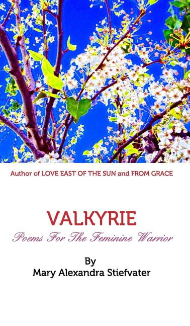 Valkyrie: Poems For The Feminine Warrior (Hardcover) - Walmart.com