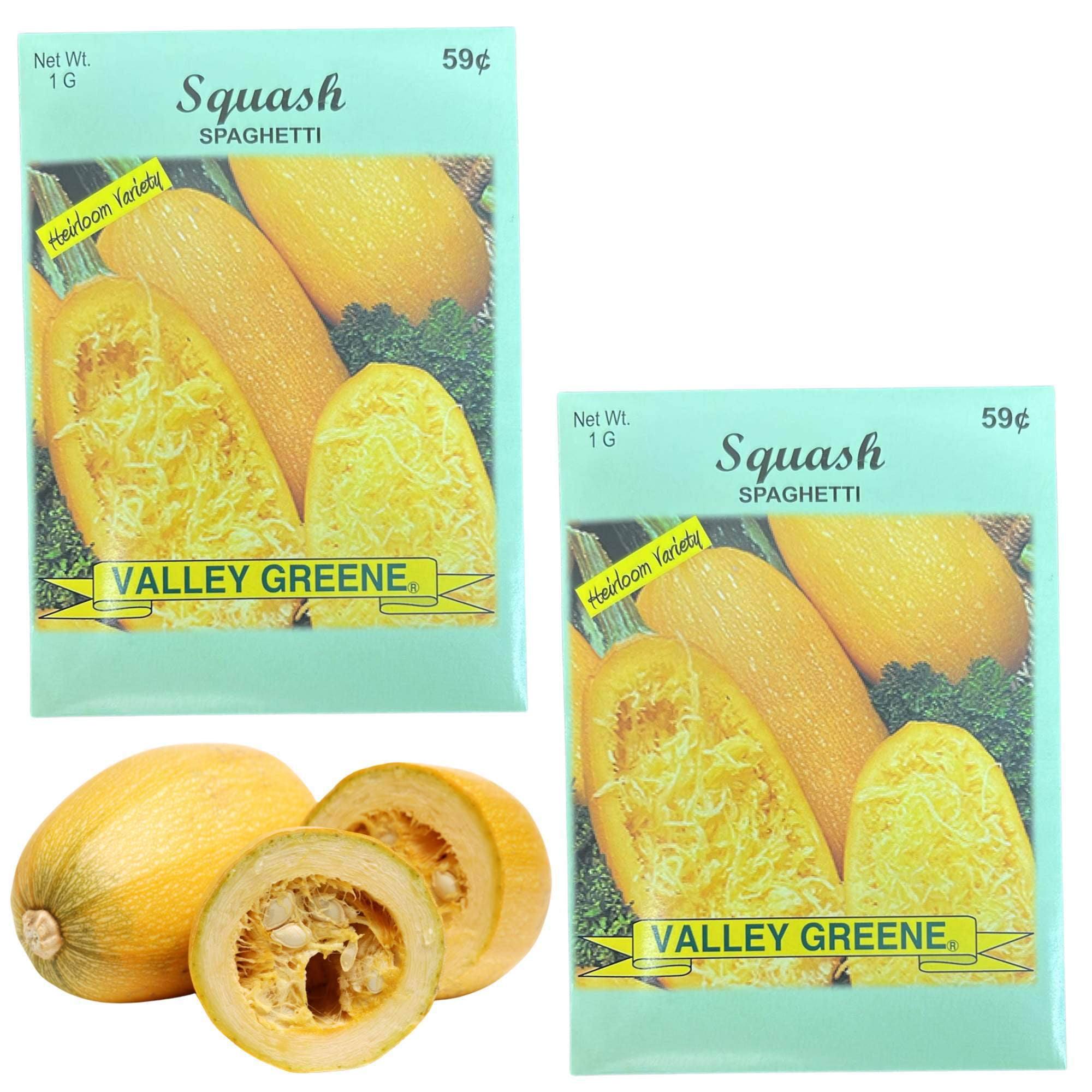 Valley Greene 1G Squash Spaghetti Seeds:2CT - Walmart.com