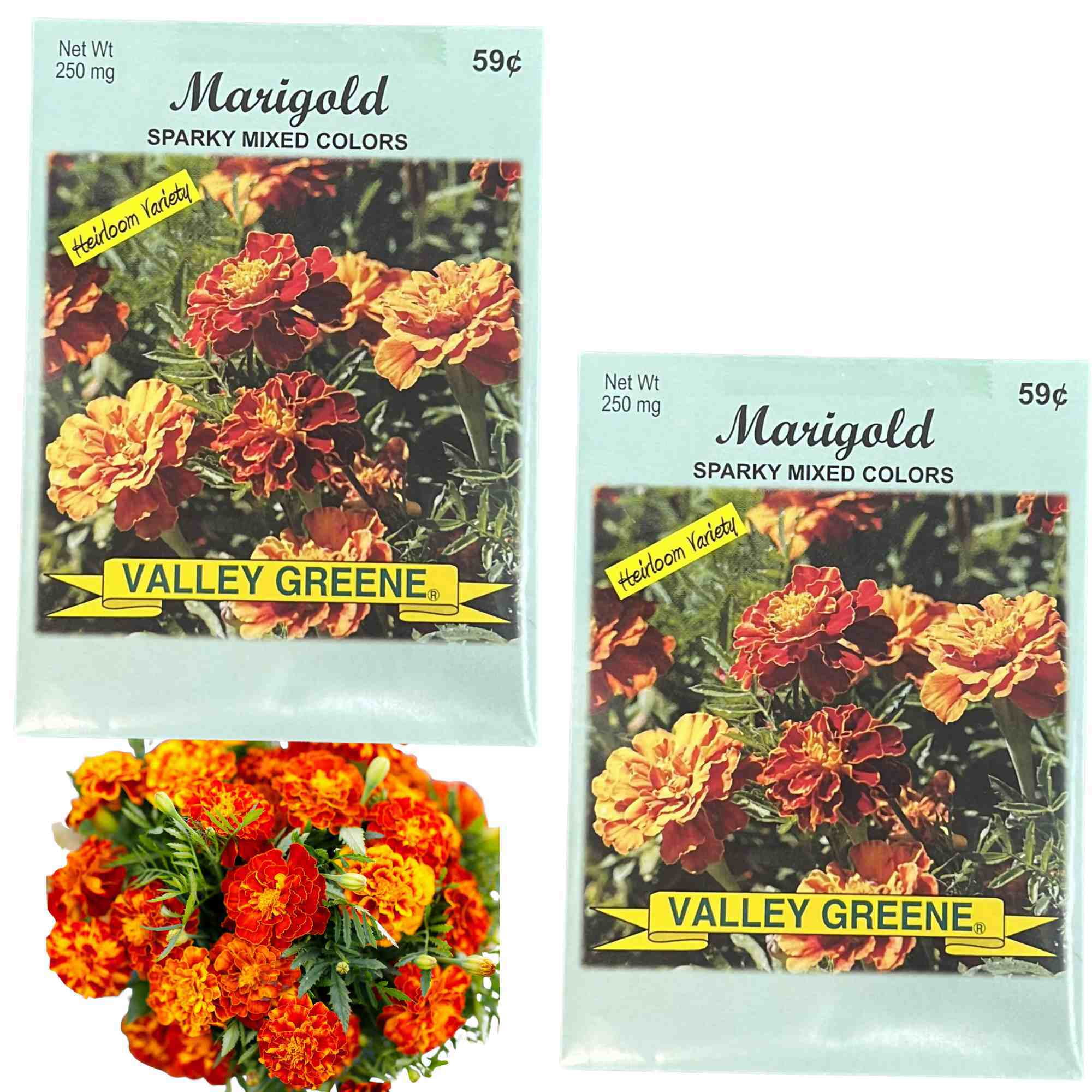Valley Greene 250mg Marigold Sparky Mixed Colors :2CT - Walmart.com