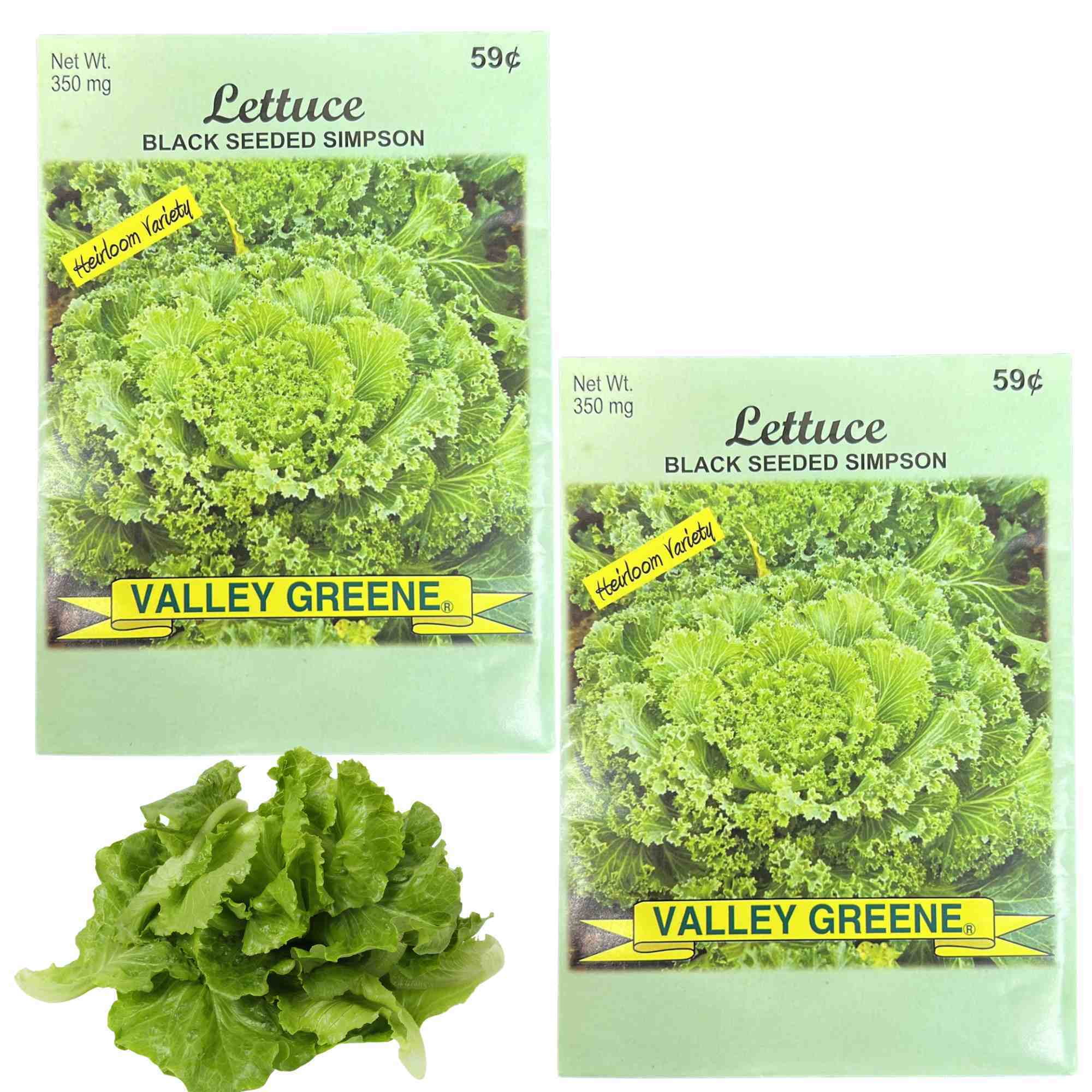 Valley Greene 350mg Lettuce Seeds – Black Seeded Simpson: 2CT - Walmart.com