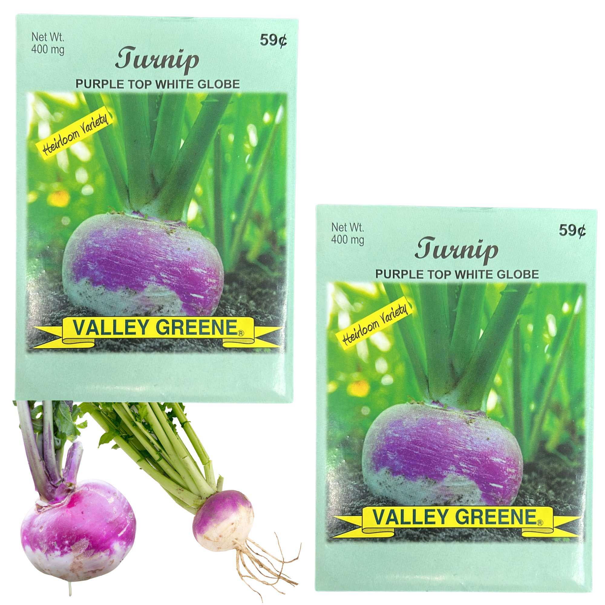 Valley Greene 400mg Turnip Seeds. Purple Top White Globe Variety : 2CT ...