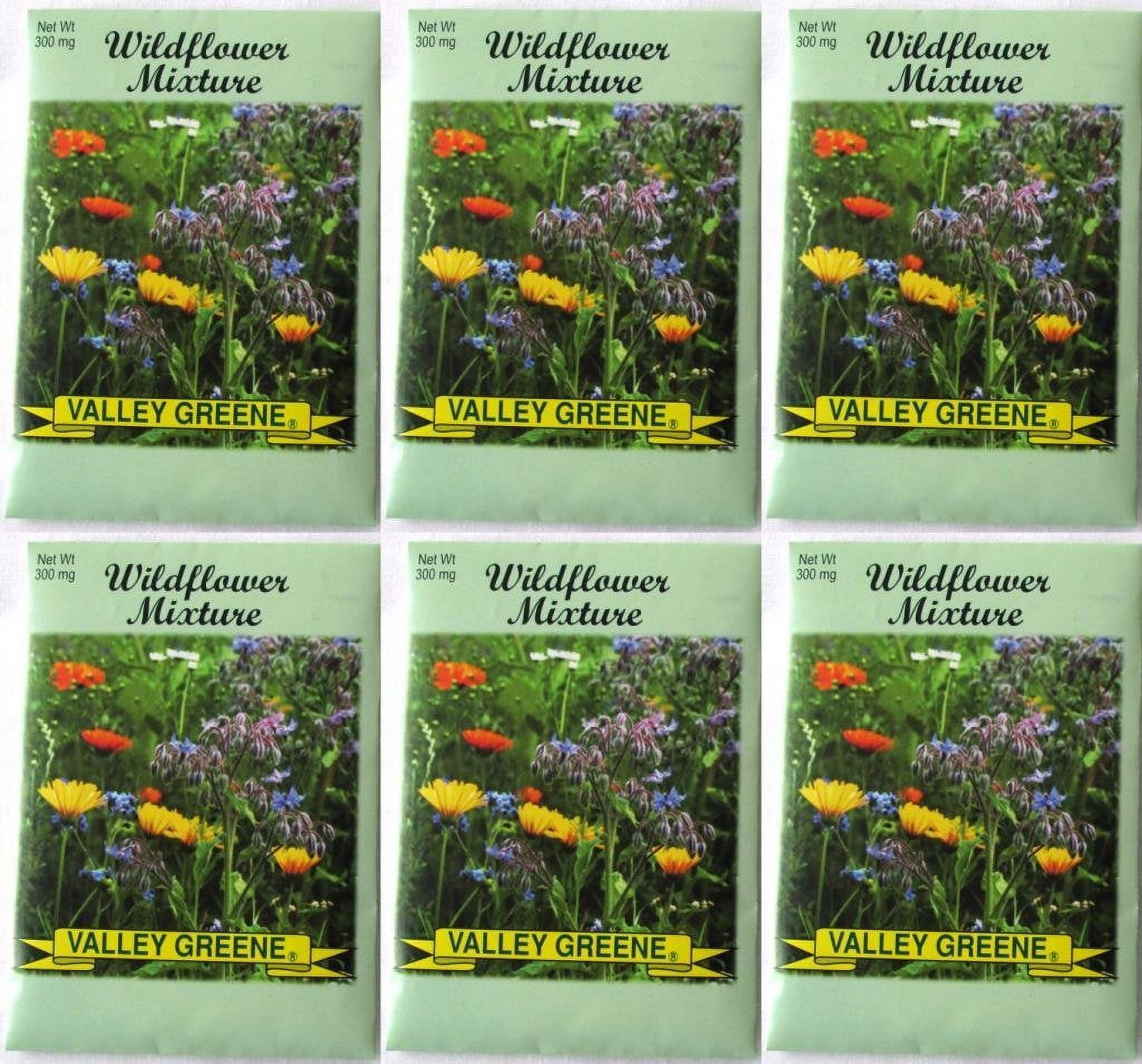 Valley Greene Wildflower Heirloom Seeds - 6 Pack, 300mg Mixed Planting ...