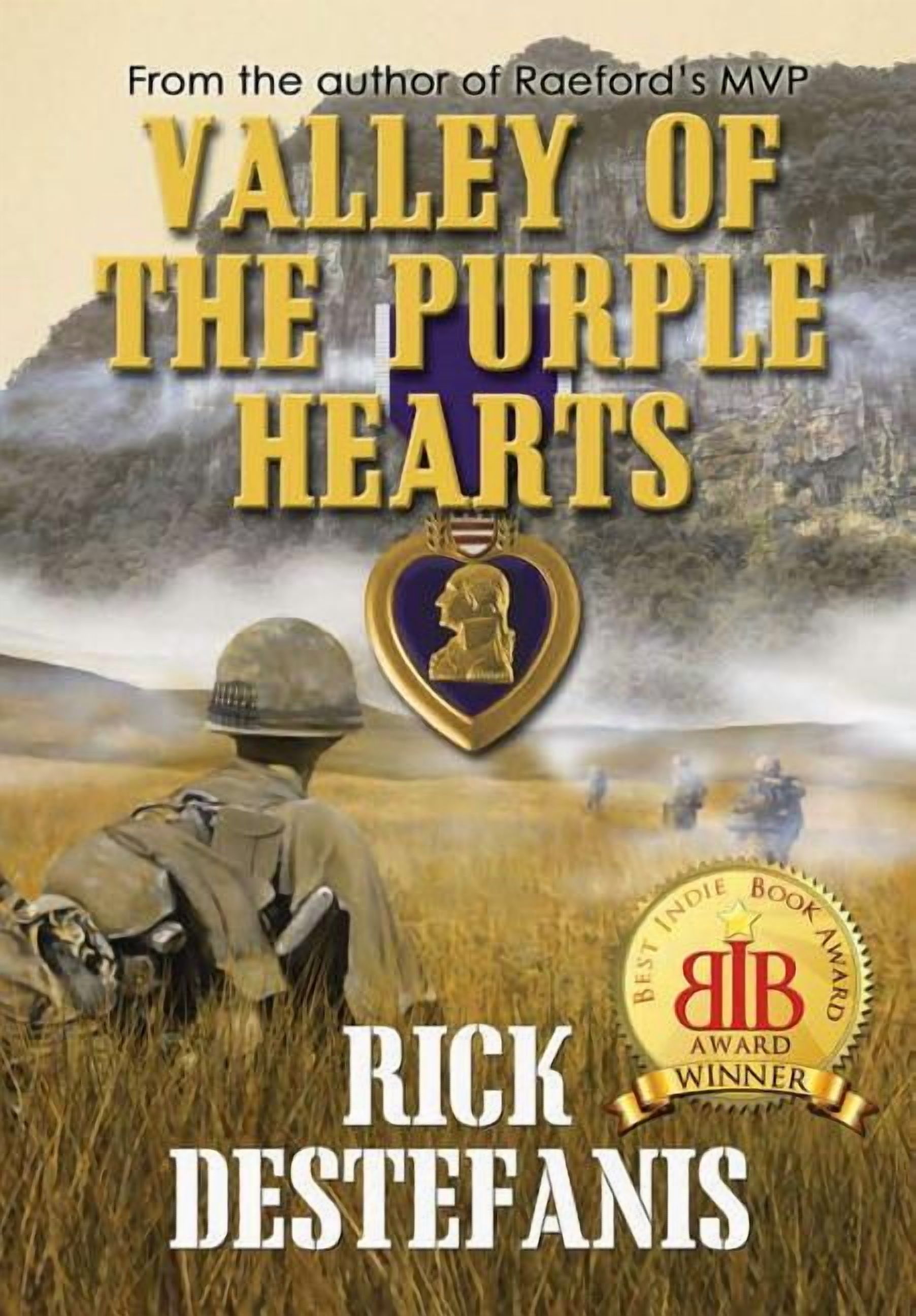 Valley of the Purple Hearts (Hardcover) by Rick Destefanis - Walmart ...