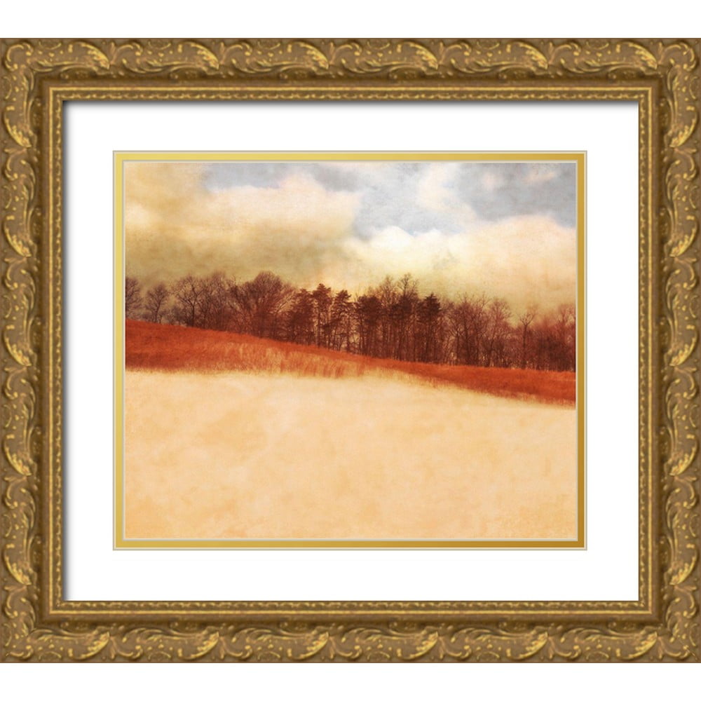 Valner, Jessica 17x15 Gold Ornate Wood Framed with Double Matting ...