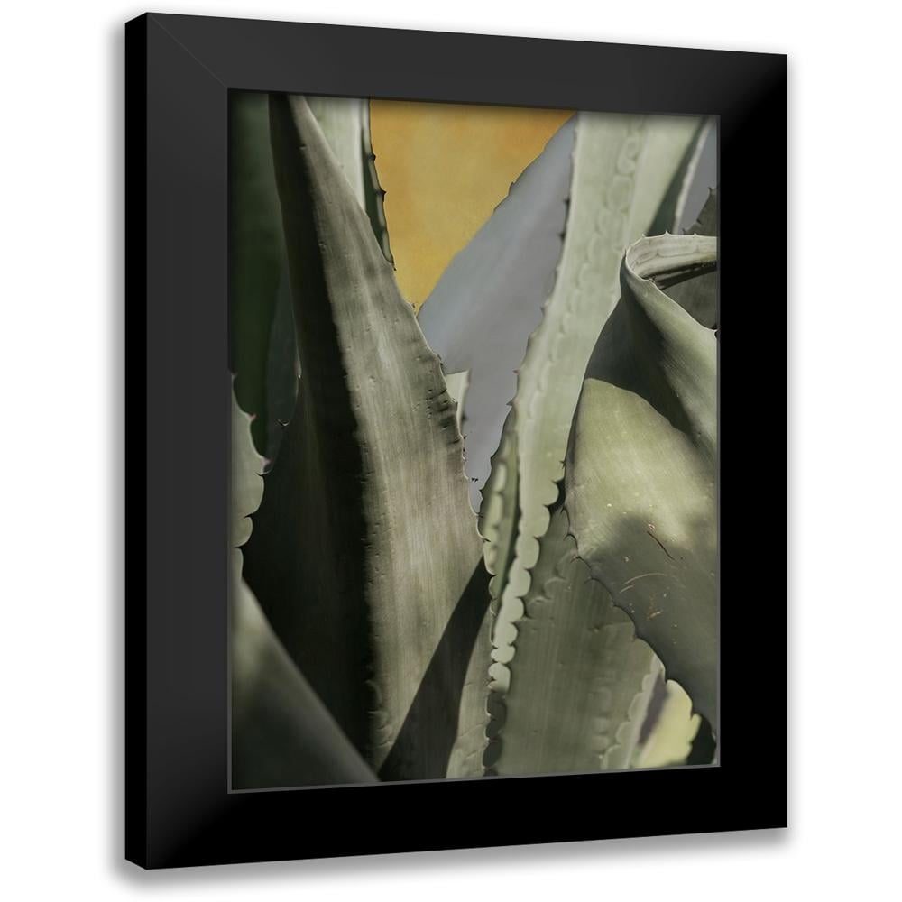 Valner, Jessica 17x24 Black Modern Framed Museum Art Print Titled ...