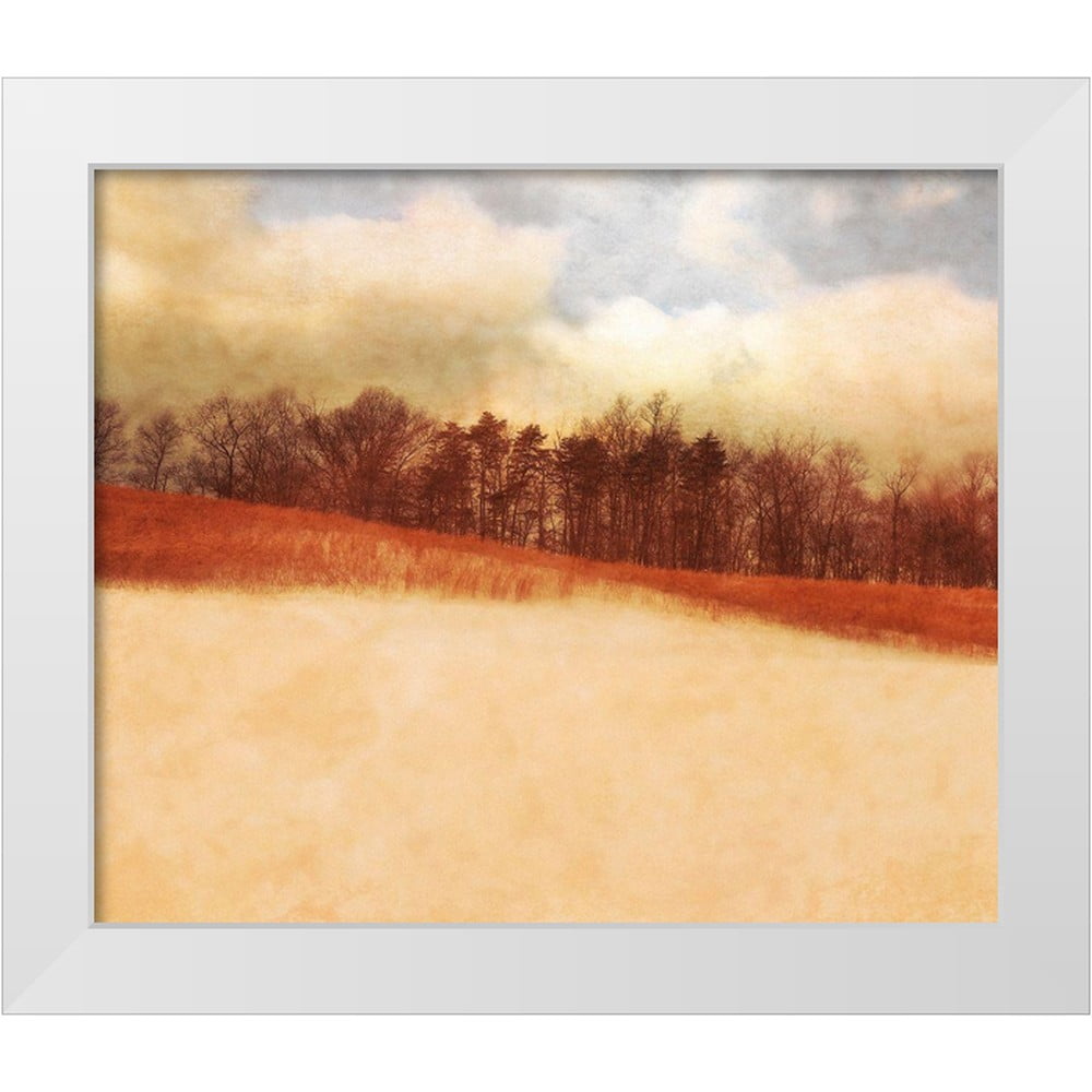 Valner, Jessica 23x20 White Modern Wood Framed Museum Art Print Titled ...