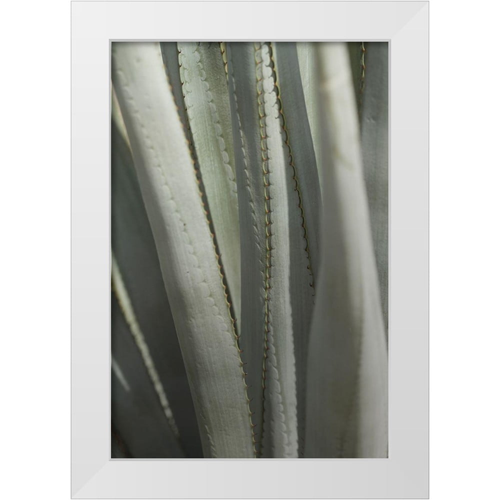 Valner, Jessica 23x32 White Modern Wood Framed Museum Art Print Titled ...