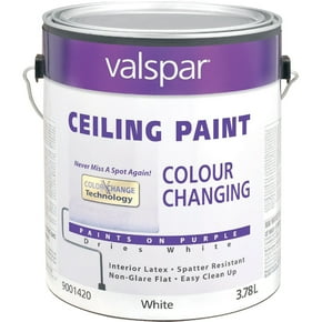 White Paint in Paint Colors - Walmart.com