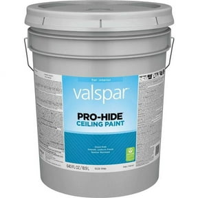 Ceiling Paint - Walmart.com