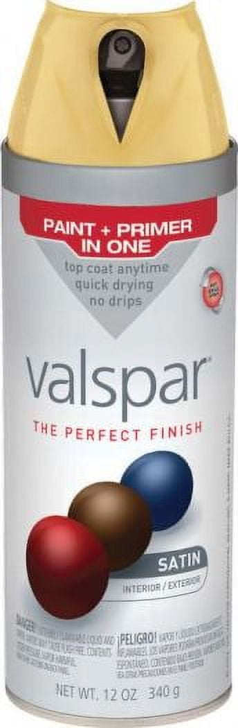 Valspar 85009 Multi-Surface Enamel Spray Paint, 12 oz Can, Whipped ...