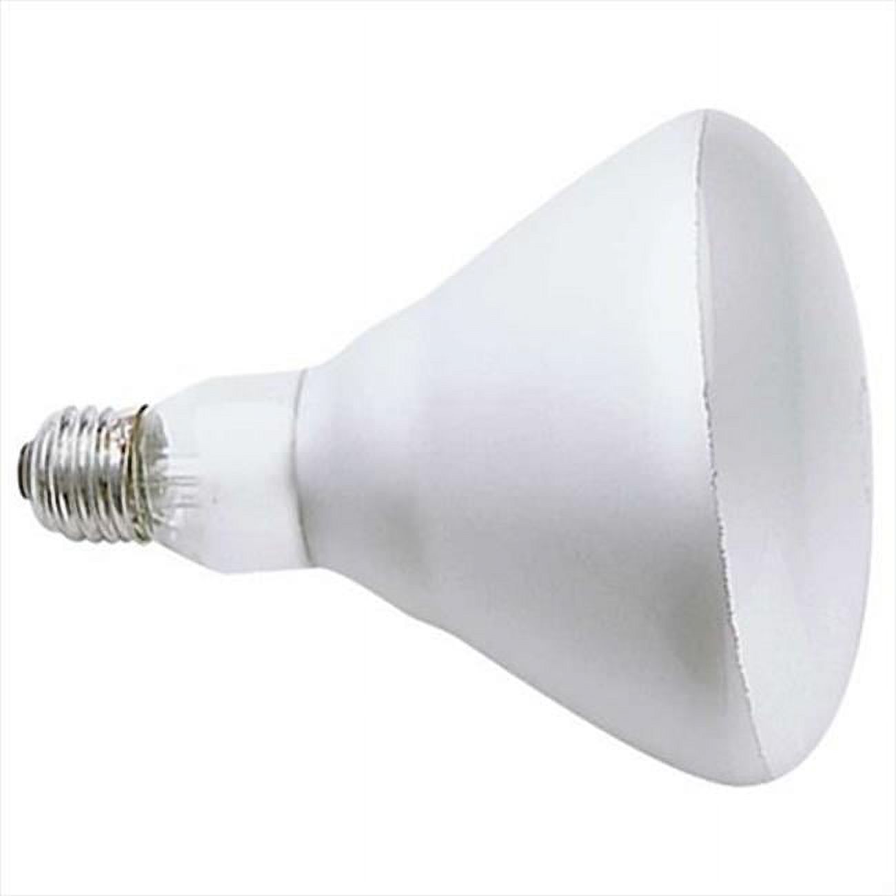 ValuTek Infrared Heat Lamp - 125W - Walmart.com