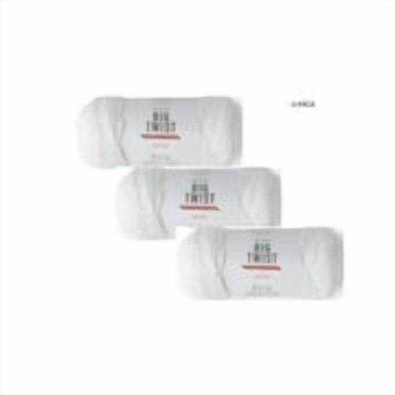 Value 380yd Worsted Acrylic Yarn by Big Twist 3 Pack White - Walmart.com