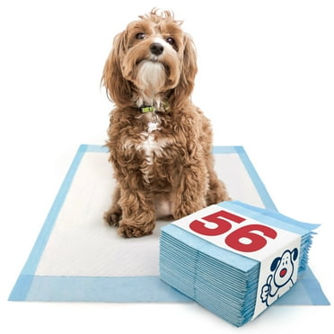 Pooch Pad Protection Training Dog Pads. Thick & Soft, XTRA Absorbent ...