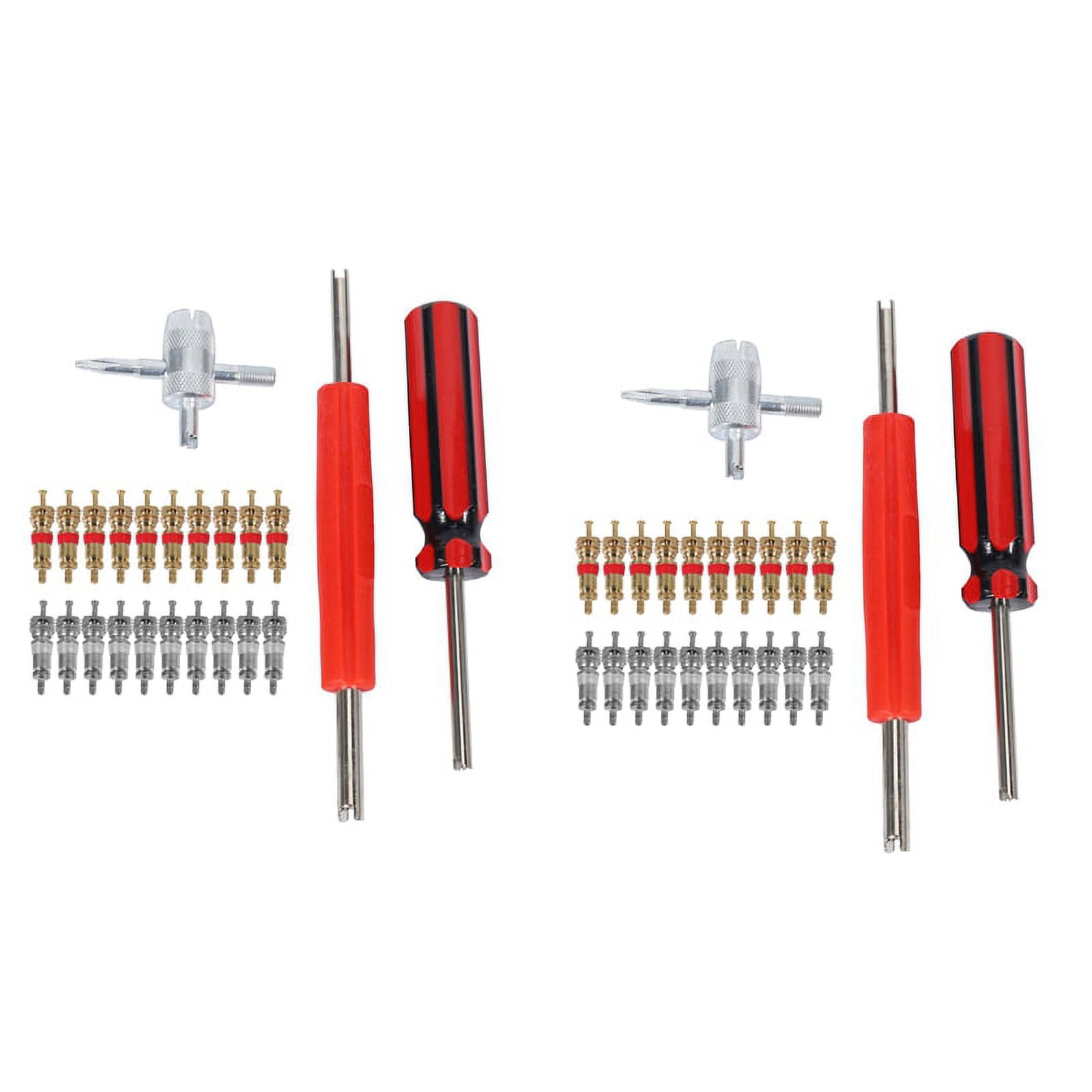 Valve Core Tool Set 40Pcs Cores, 4-Way Tool, Dual Single Head Remover ...
