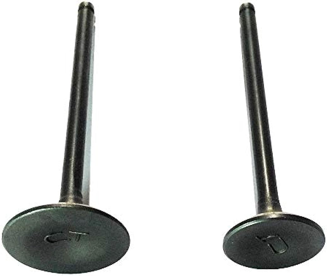 Valve Set Intake Exhaust Valve Compatible with Suzuki GN125 GZ125 GS125 ...