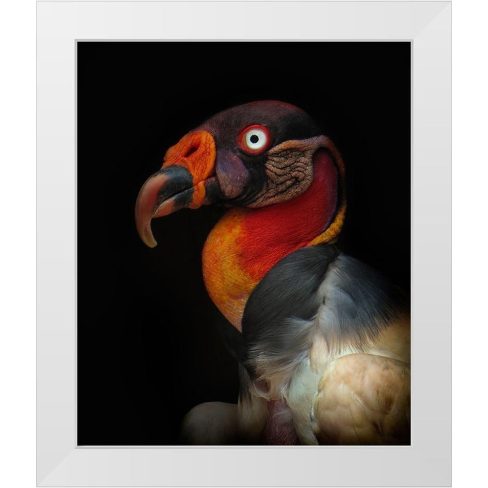 Valverde, Ferdinando 20x23 White Modern Wood Framed Museum Art Print ...